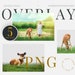 Deer Png Overlays Background Replacement Deer Overlay PNG Animal Blend ...