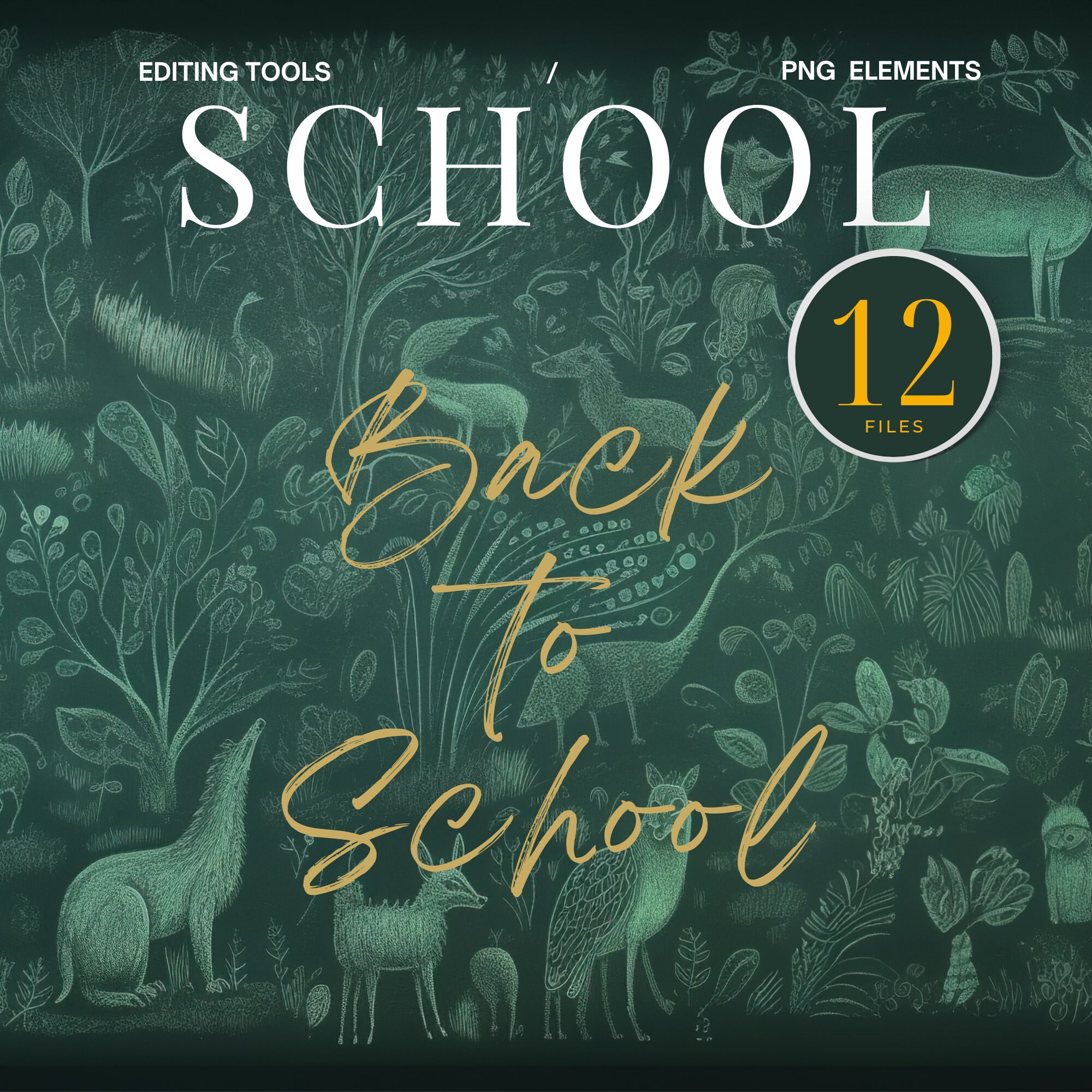Back to School Digital Backdrops School Digital Backdrop Back to School ...