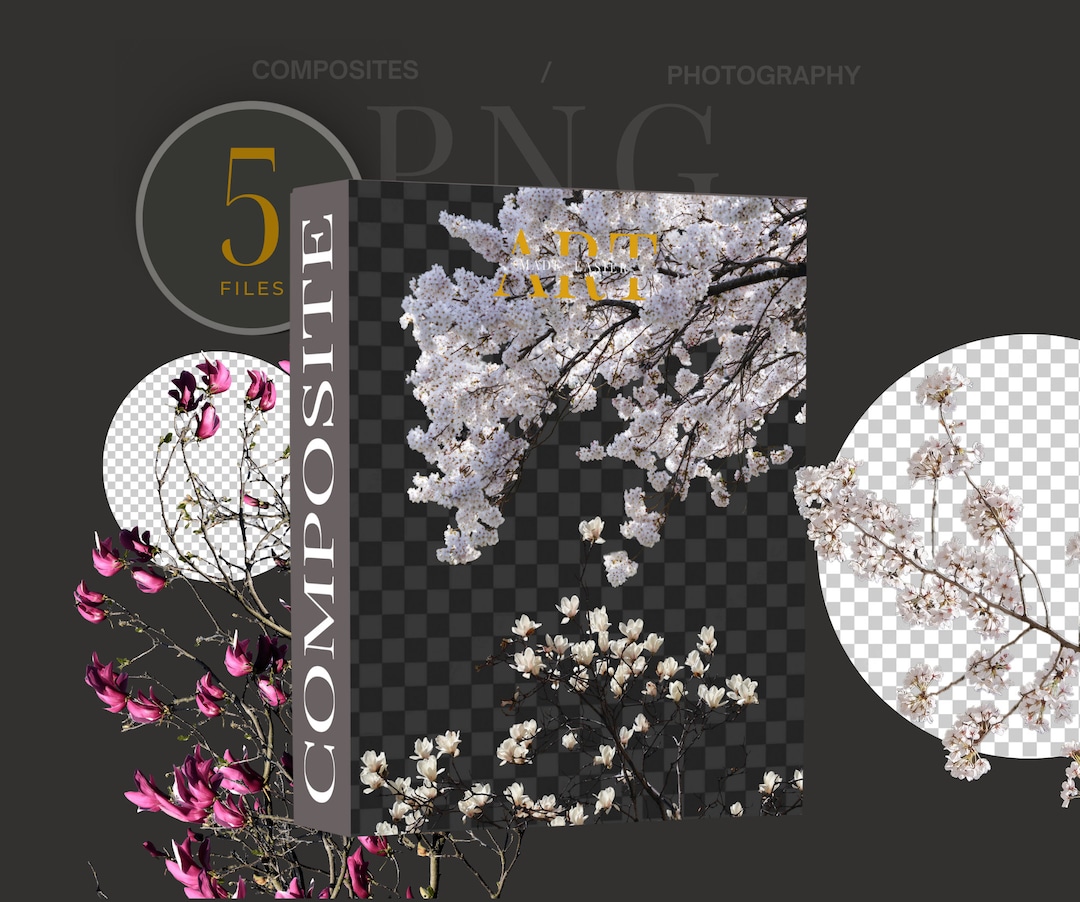 Png Flower Overlay Flower Files Flower Background Flower Tree Branch ...