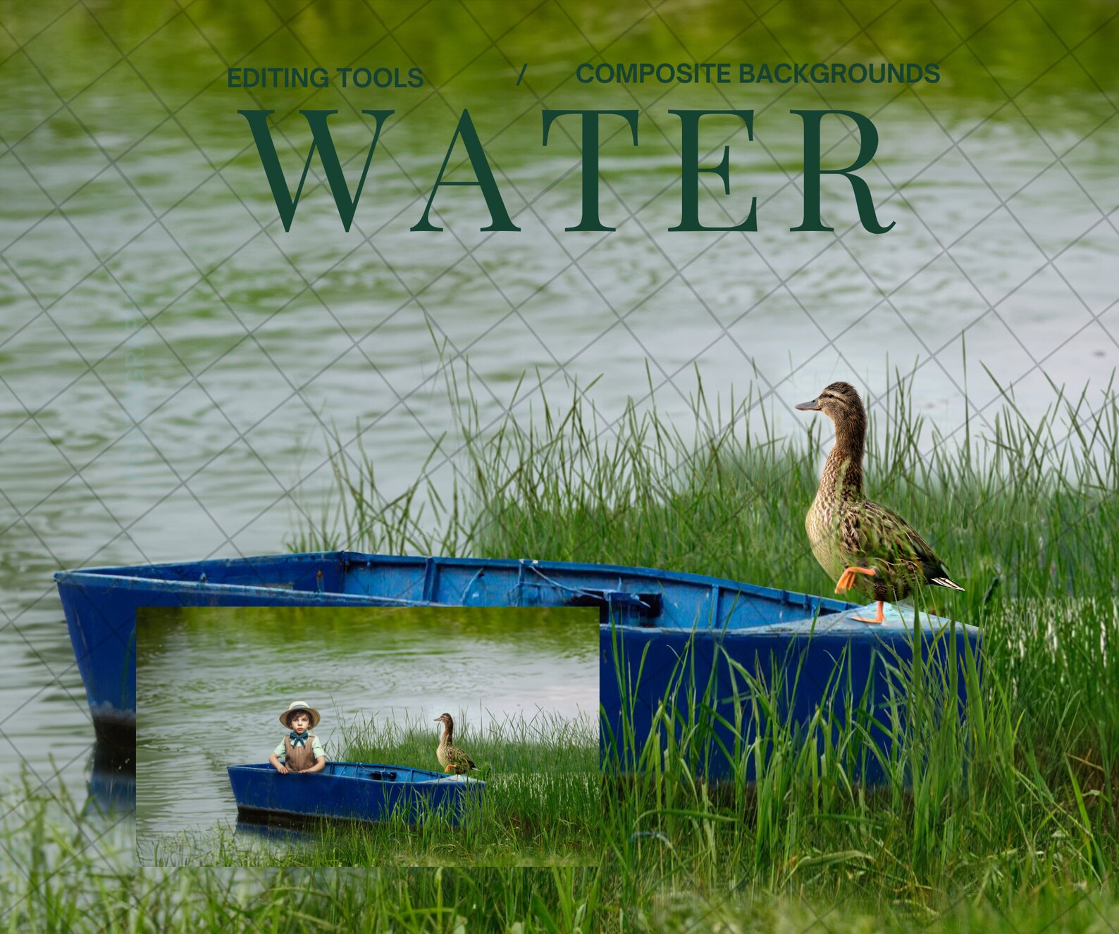 Composite Grass Png Overlay, Duck Lake Backdrop, Wildlife Water ...