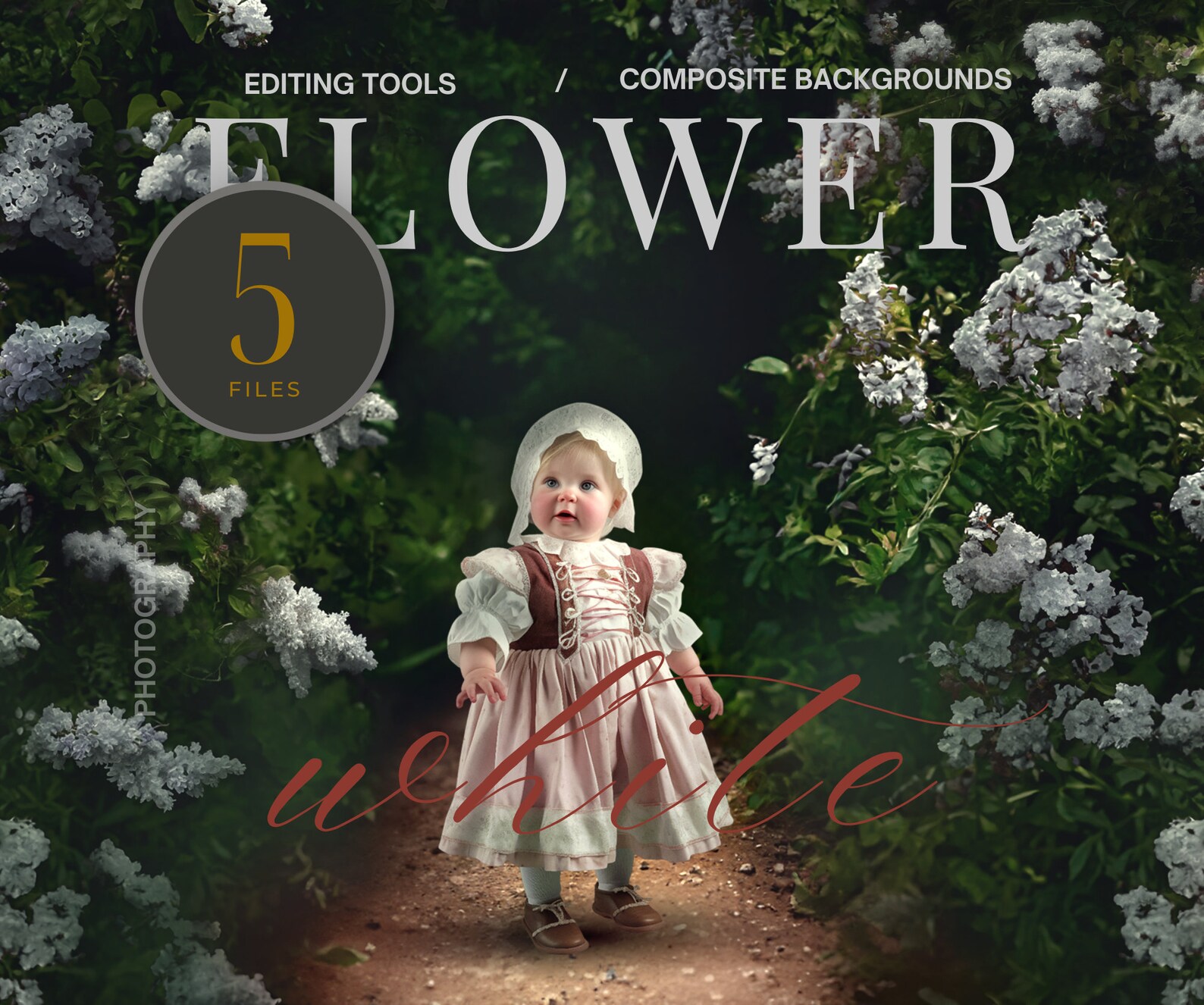 White Lilac Flower Pathway White Flower Field Background White Poppy ...