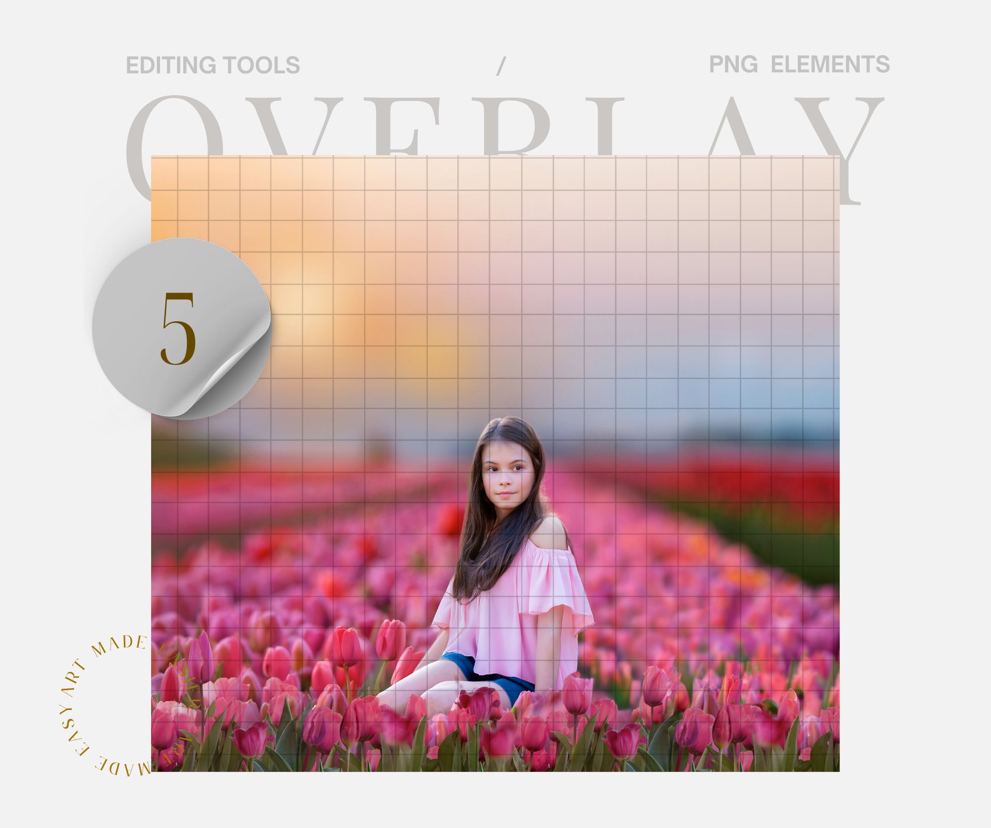 Flower Field Png Tulip Field Overlay Pink Flower Clipart Flower ...