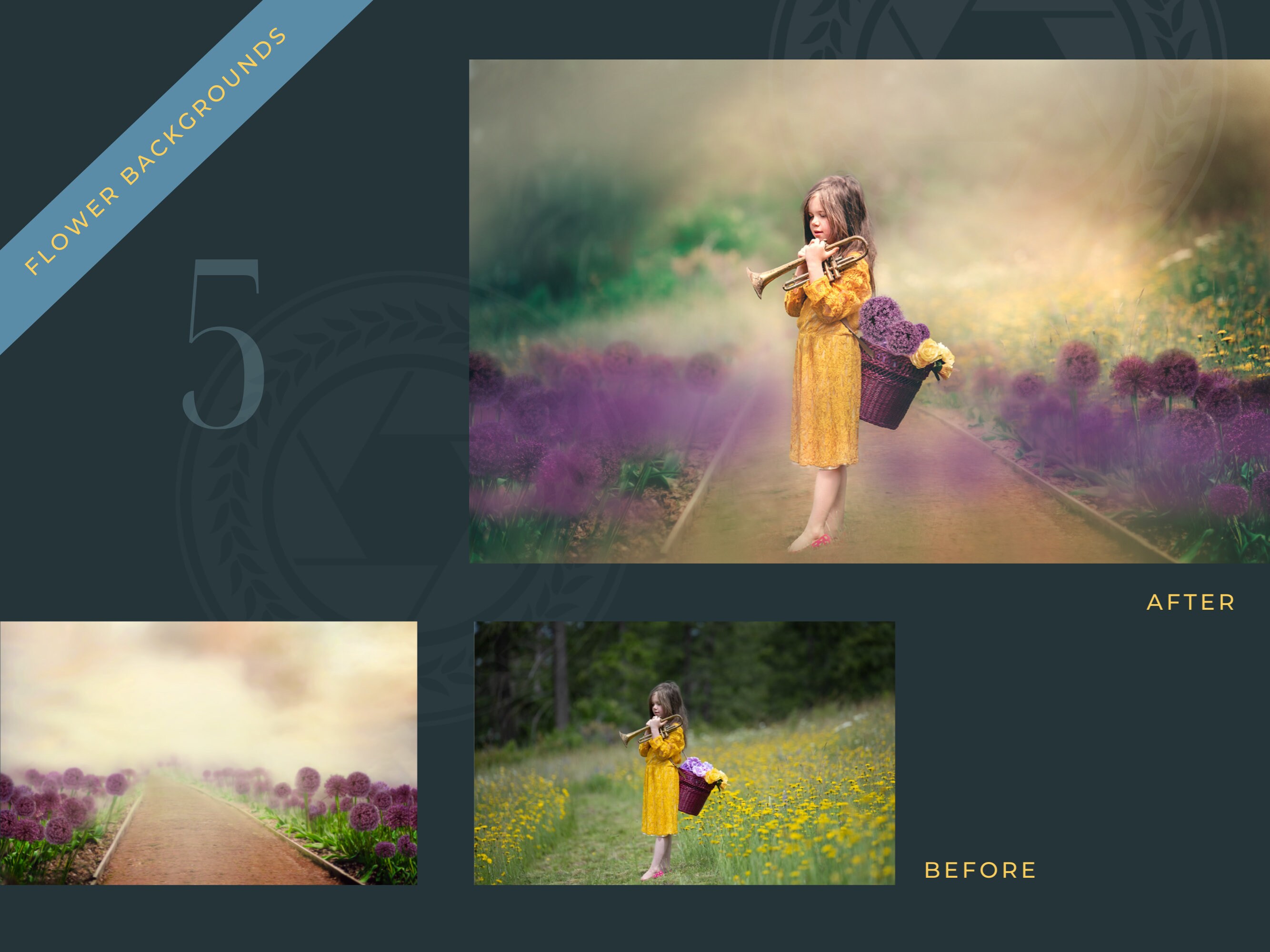 Digital Png Flower Overlay Flower Background Flower Path Summer Flower ...