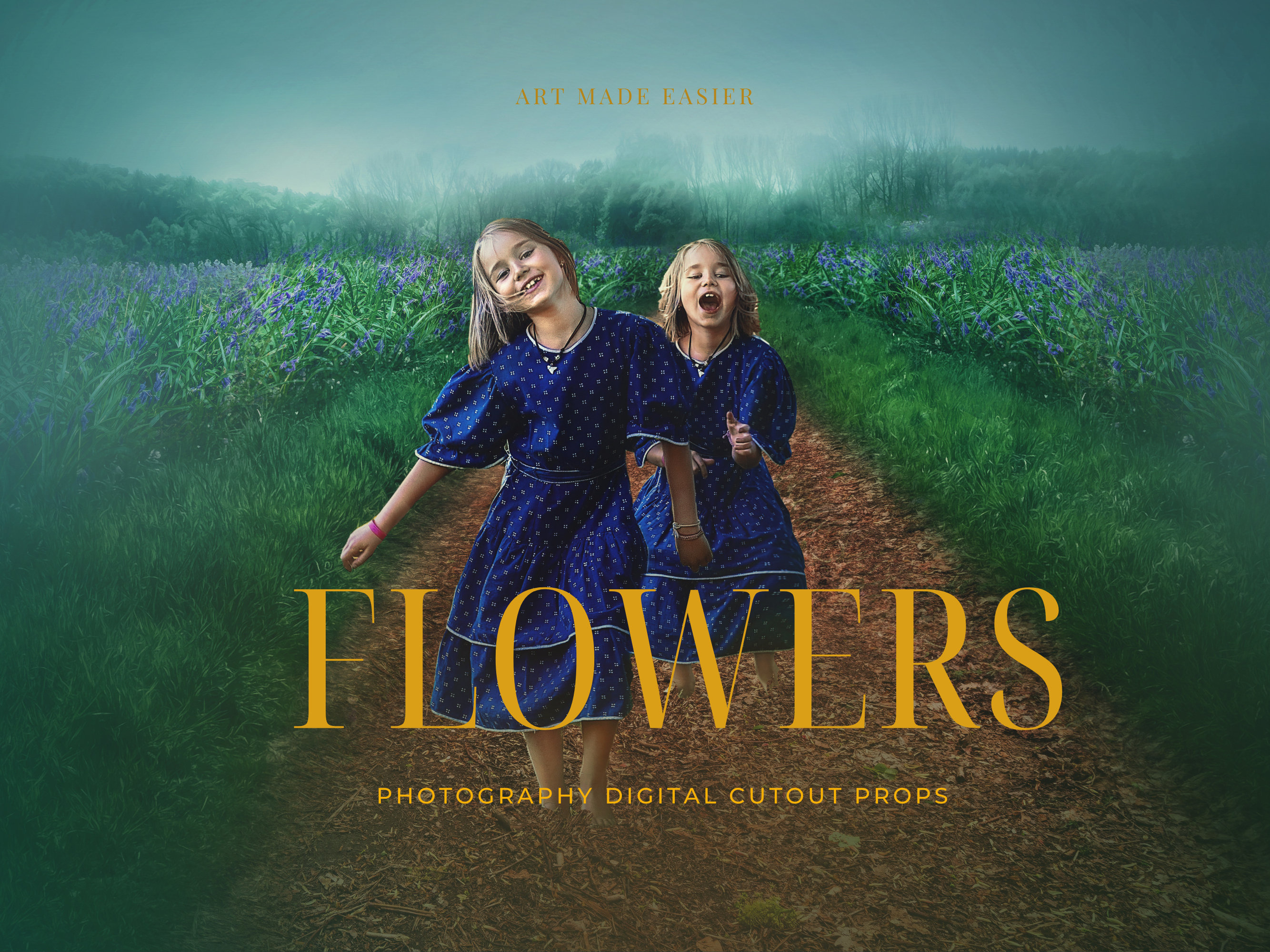 Blue Fields Photography Background Portrait Sky Blue Flower Path ...