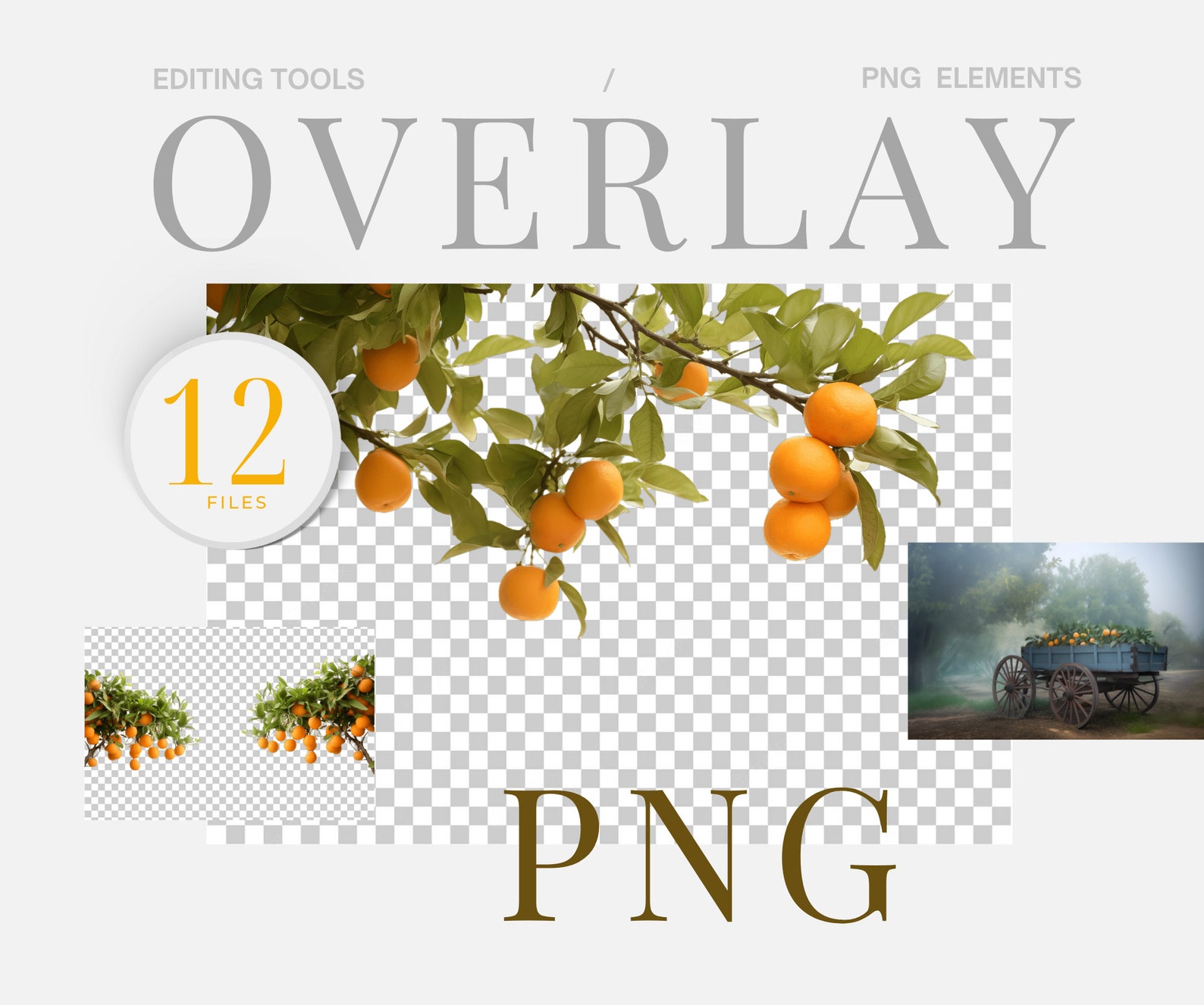 Garden Orange Orchard Digital Orange Tree Background Orange Garden ...