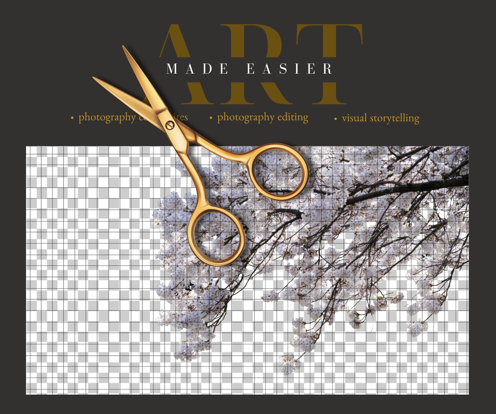 Png Flower Overlay Flower Files Flower Background Flower Tree Branch ...