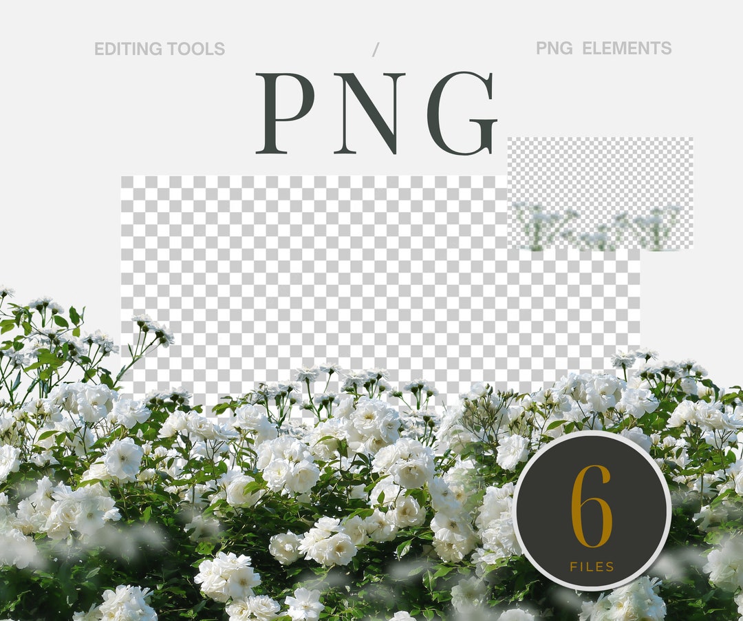 White Flower Field Overlay Transparent Flower PNG Transparent Flower ...