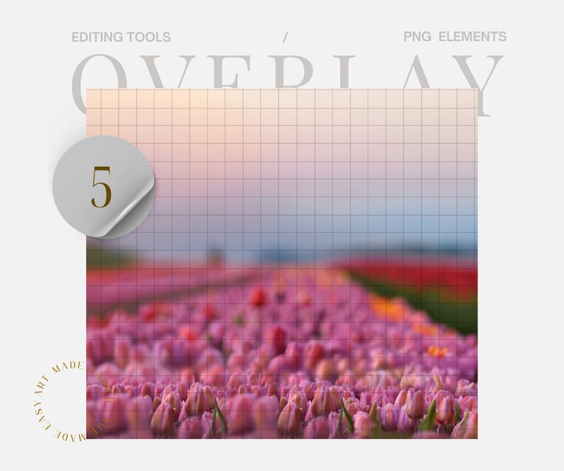 Flower Field Png Tulip Field Overlay Pink Flower Clipart Flower ...