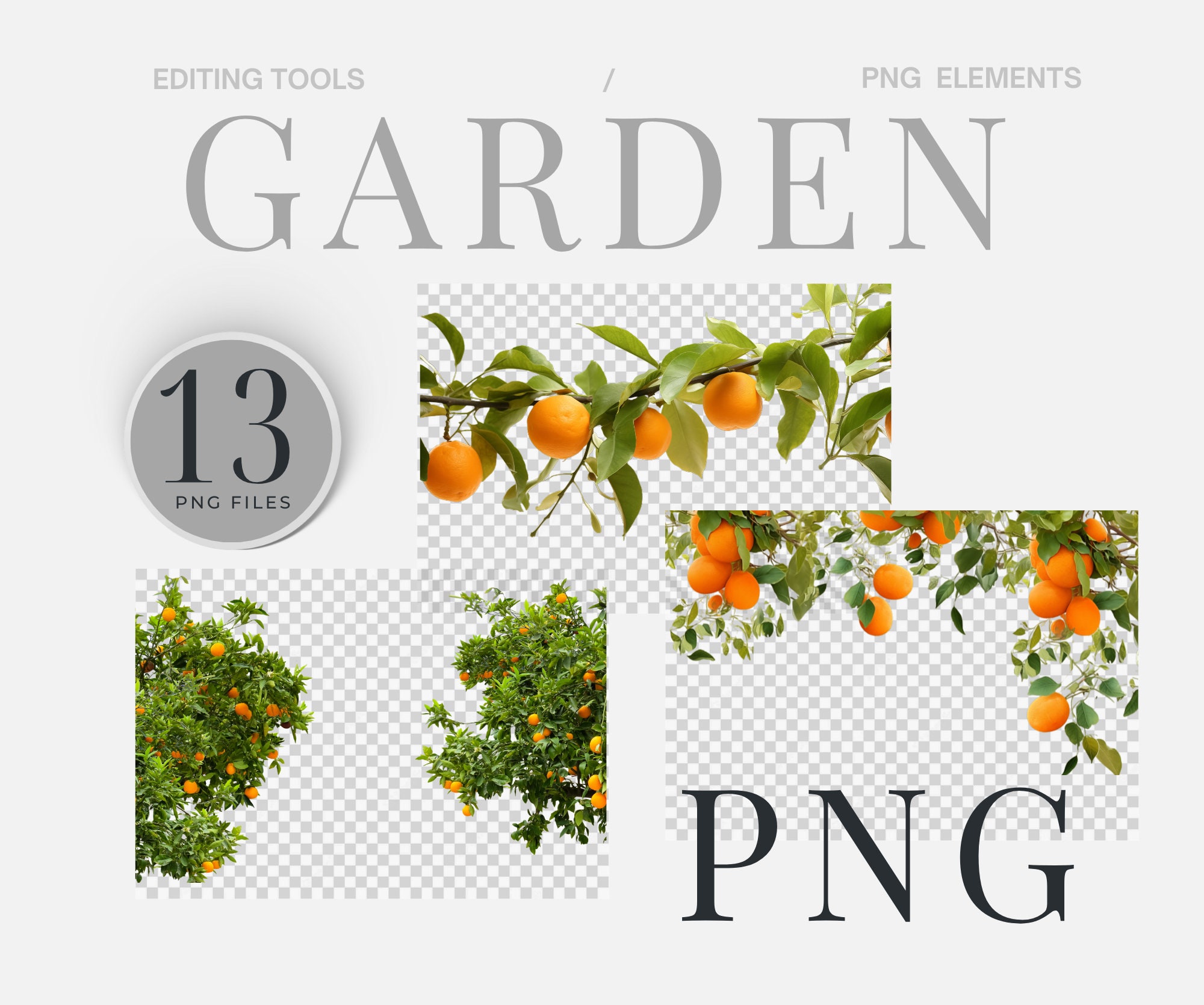 Orange Orchard Digital Orange Tree Background Orange Garden Digital ...