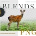 Deer Png Overlays Background Replacement Deer Overlay PNG Animal Blend ...