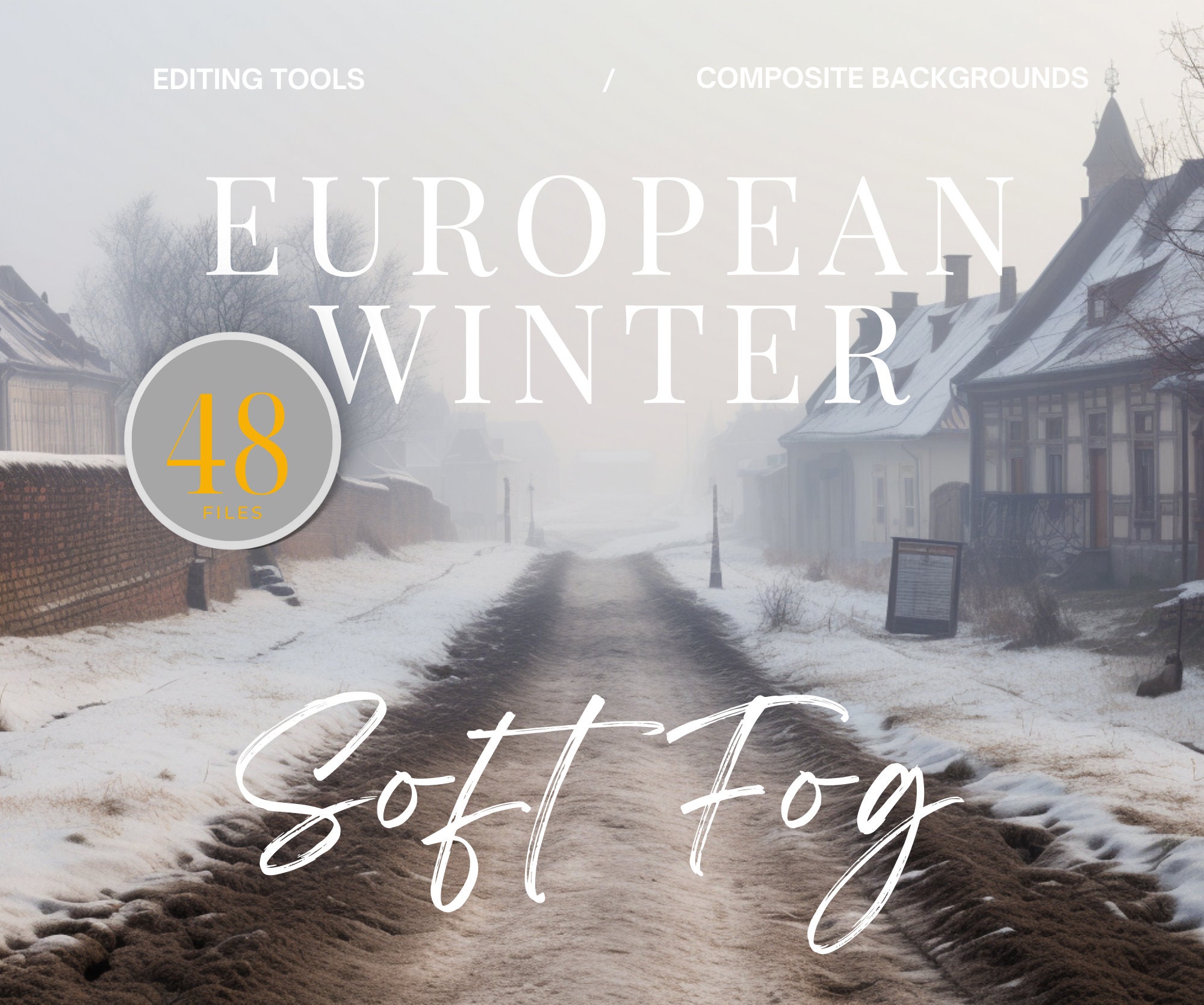 Winter Digital Tiara Diamond Digital Headpieces Icy Crowns Winter Prop ...