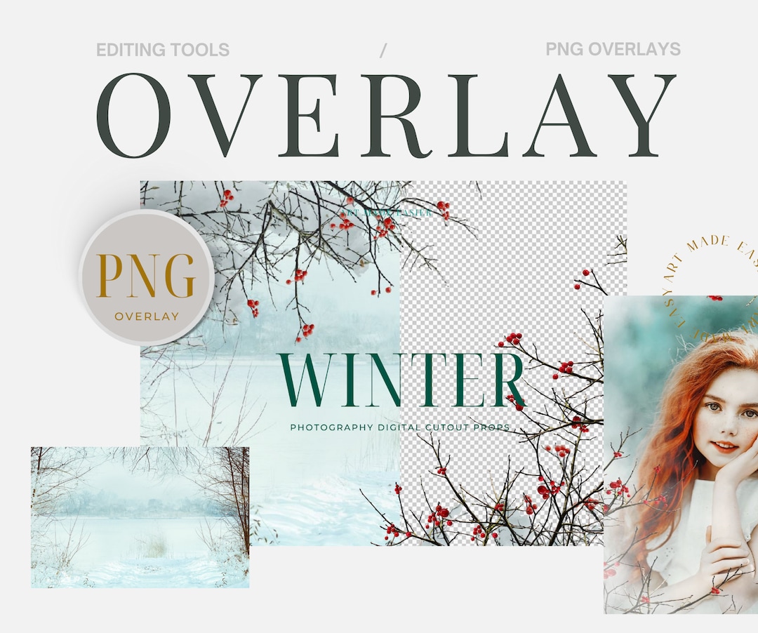 Winter Berry PNG Overlay Transparent PNG Winter Bush Overlay Branch Png ...