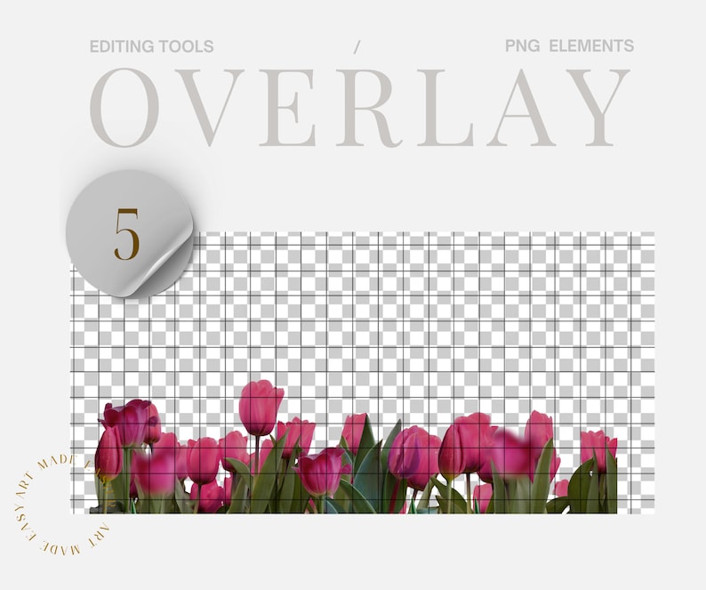 Flower Field Png Tulip Field Overlay Pink Flower Clipart Flower Overlays Pink Flower Field ...