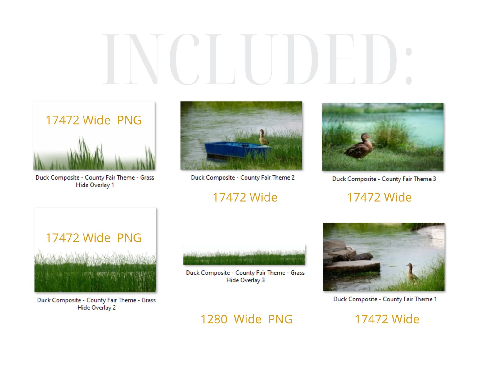 Composite Grass Png Overlay, Duck Lake Backdrop, Wildlife Water ...