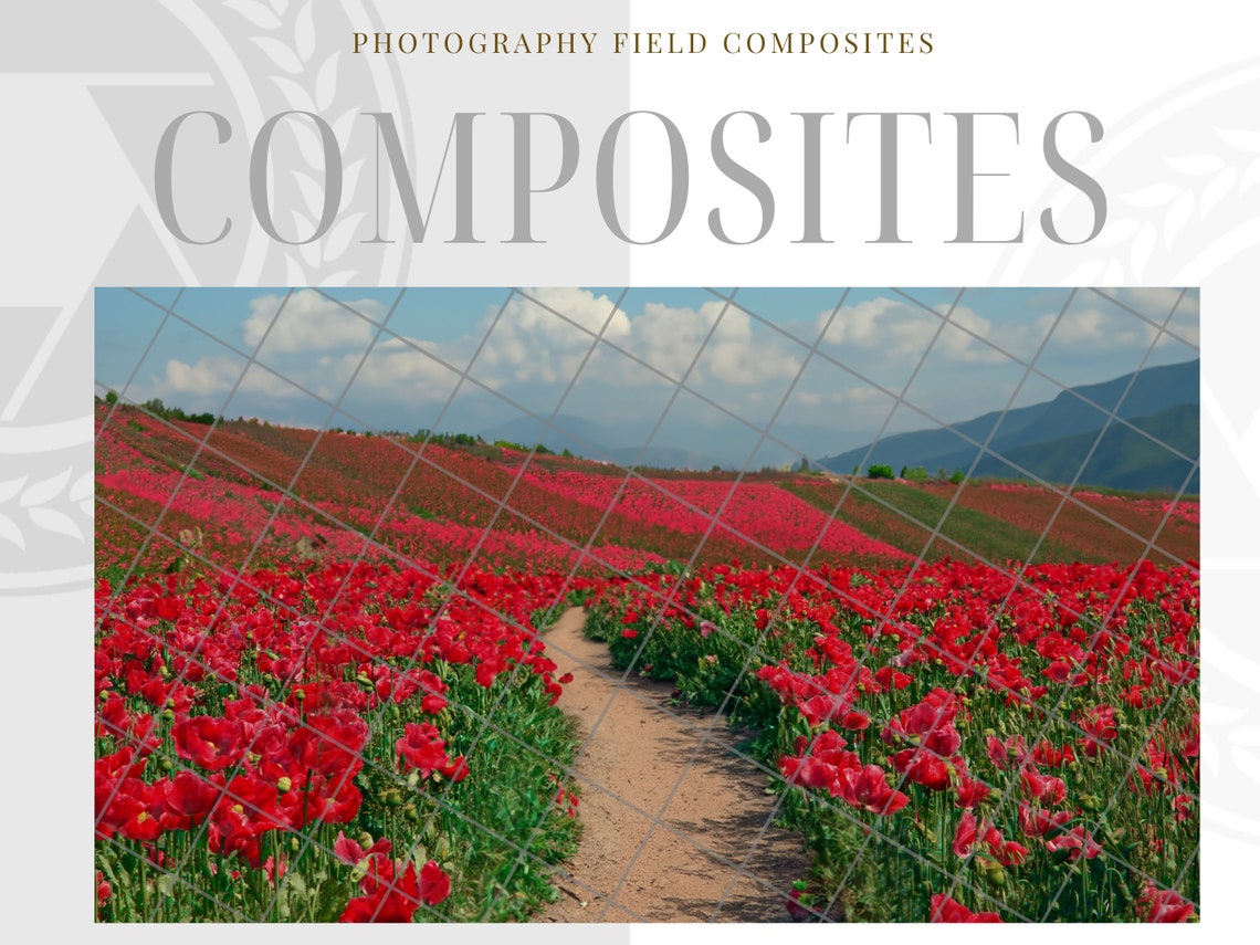Red Photography Background Fields Red Flower Fields Digital - Etsy