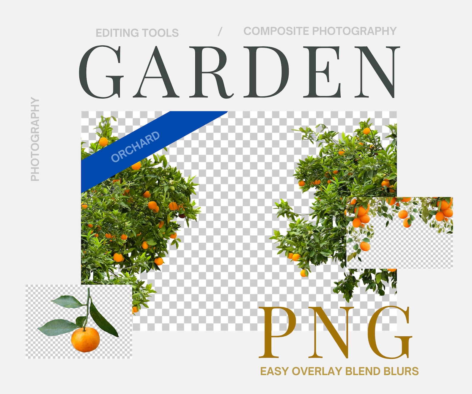 Orange Orchard Digital Orange Tree Background Orange Garden Digital ...