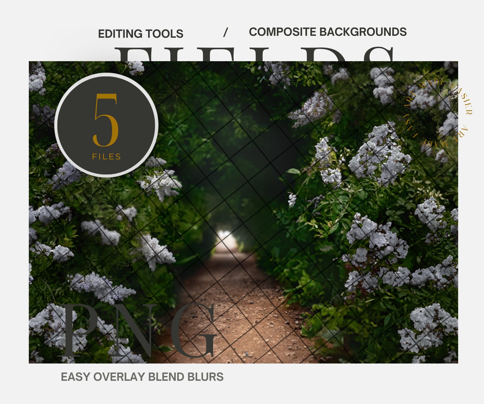 White Lilac Flower Pathway White Flower Field Background White Poppy ...