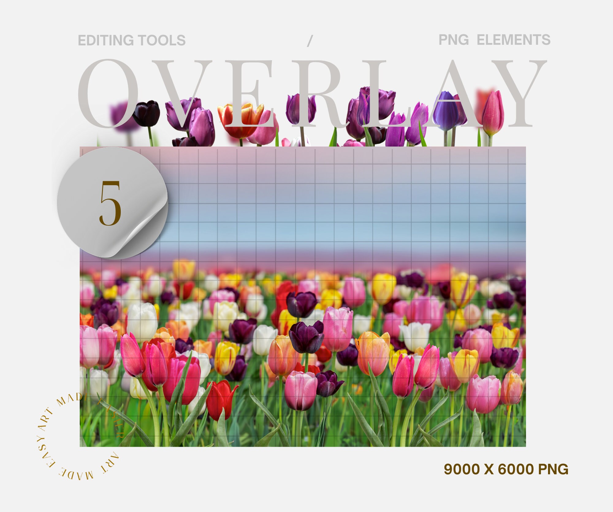 Flower Field Png Tulip Field Overlay Greenry Clipart Flower Overlays ...