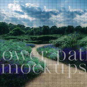 Blue Fields Photography Background Portrait Sky Blue Flower Path ...