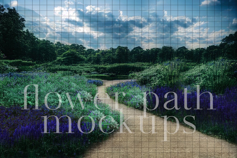 Blue Fields Photography Background Portrait Sky Blue Flower - Etsy