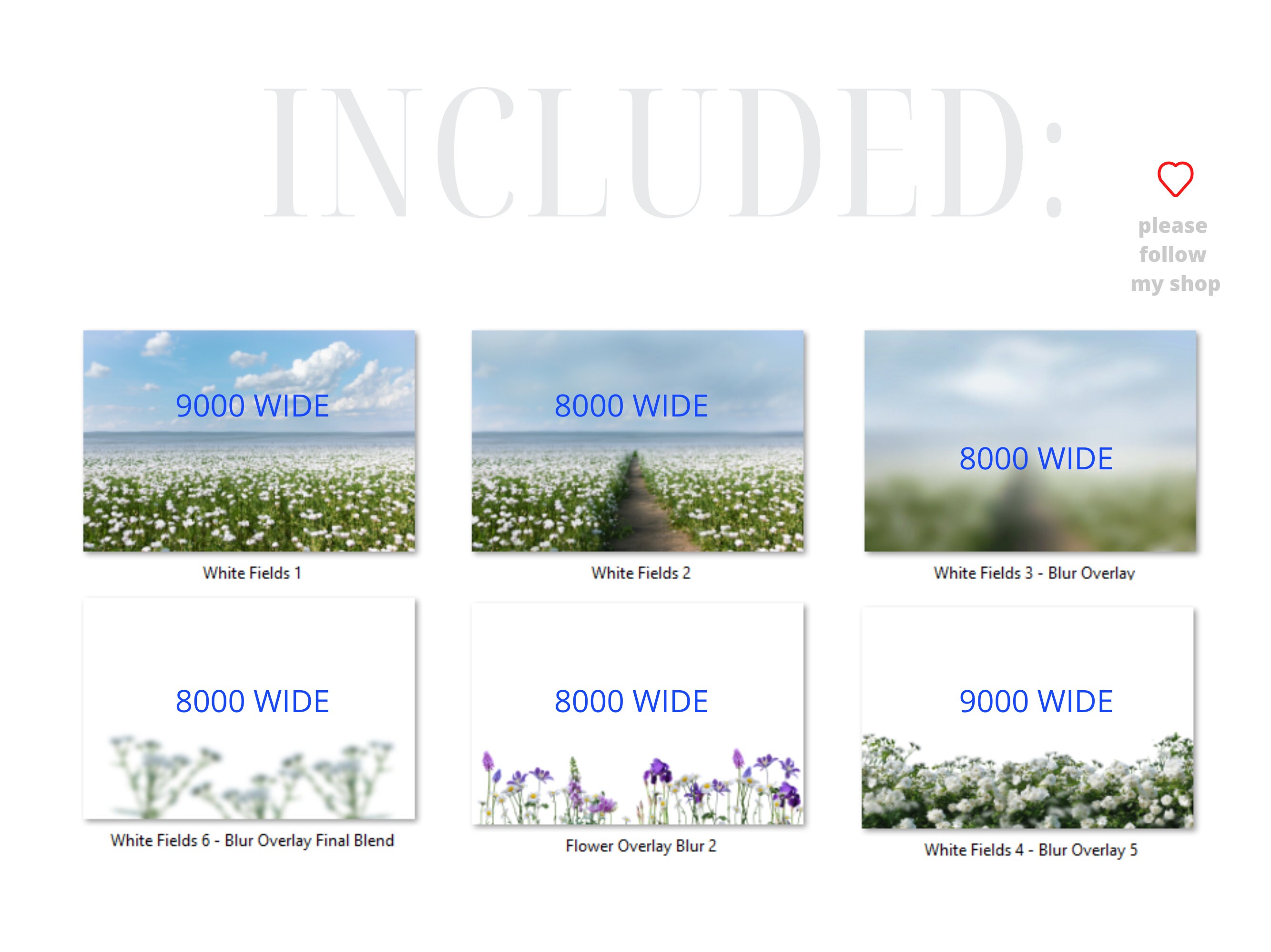 White Flower Field Overlay Transparent Flower PNG Transparent Flower ...