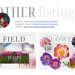 Flower Field Png Tulip Field Overlay Pink Flower Clipart Flower ...