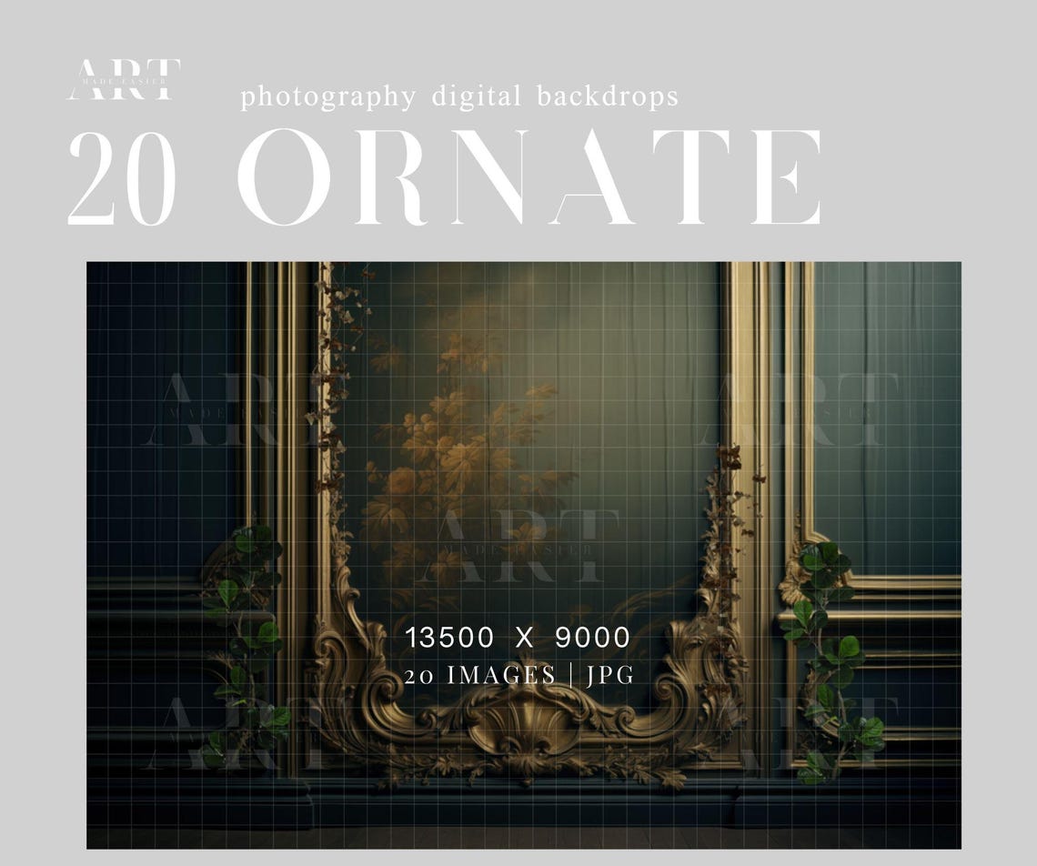 Rococo Ornate Background, Baroque Style Studio Photography Backdrop ...