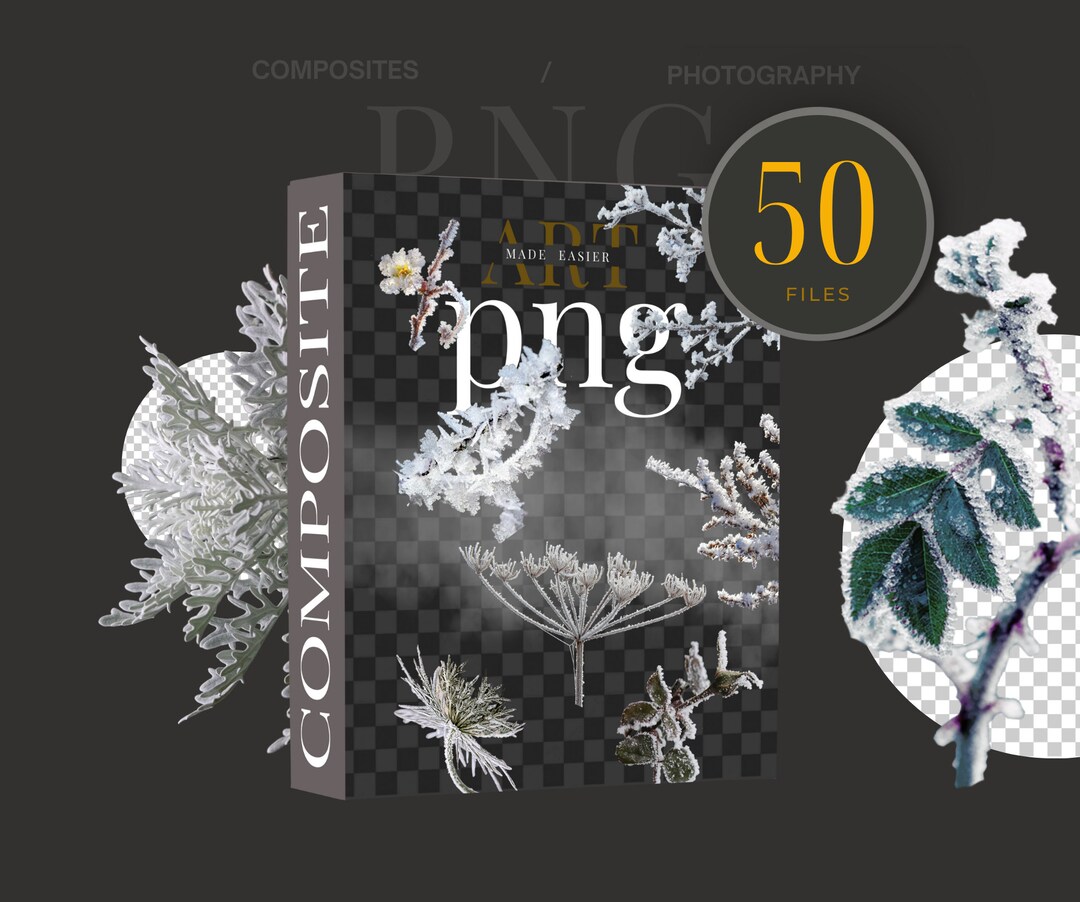 Winter PNG Flower Cutouts Frost Transparent Flowers Winter Overlay ...