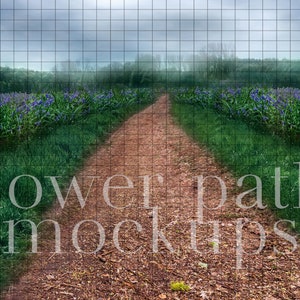 Blue Fields Photography Background Portrait Sky Blue Flower Path ...