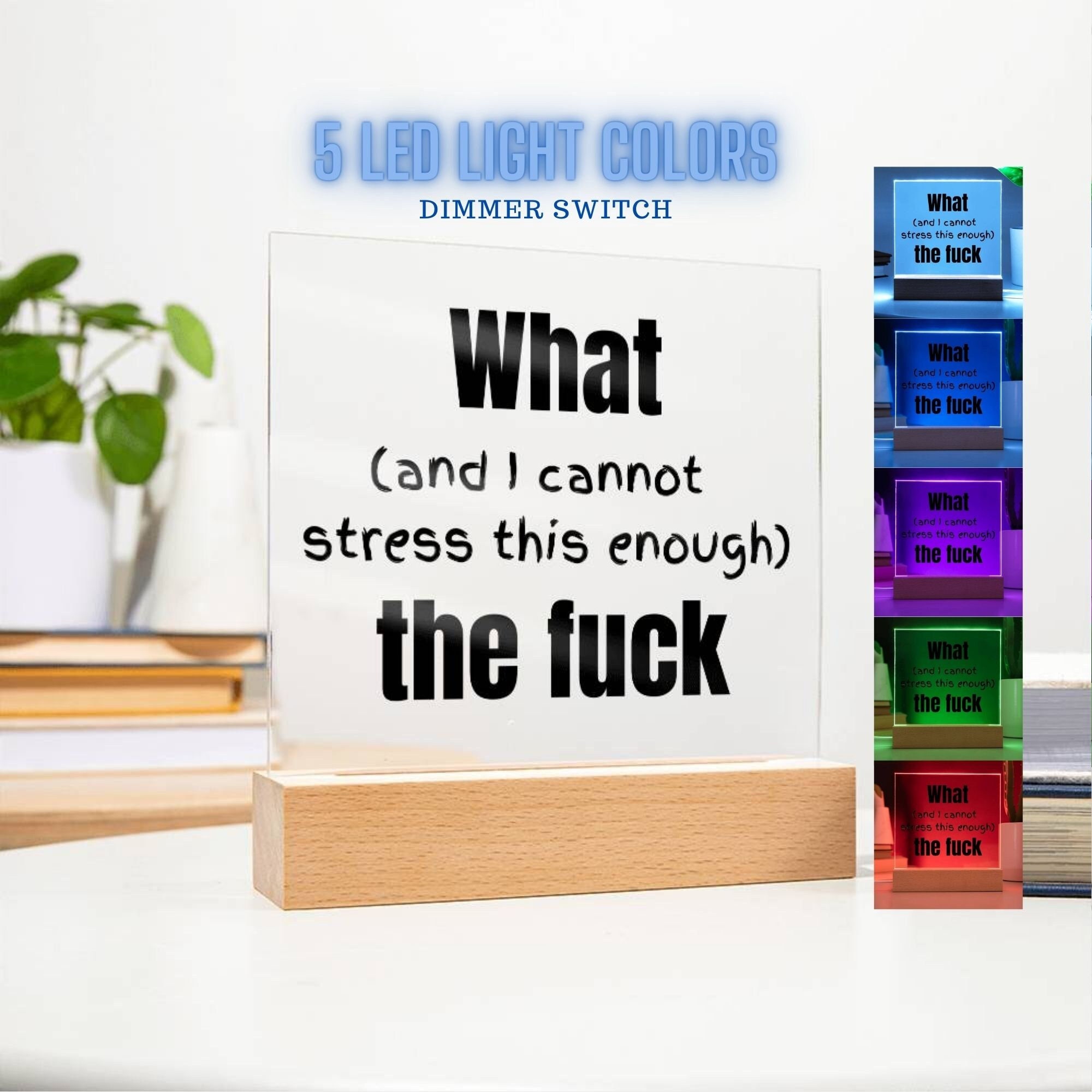 Desk Decor for Men Funny, Funny Desk Plaque, Desk Plaque Funny, Desk ...