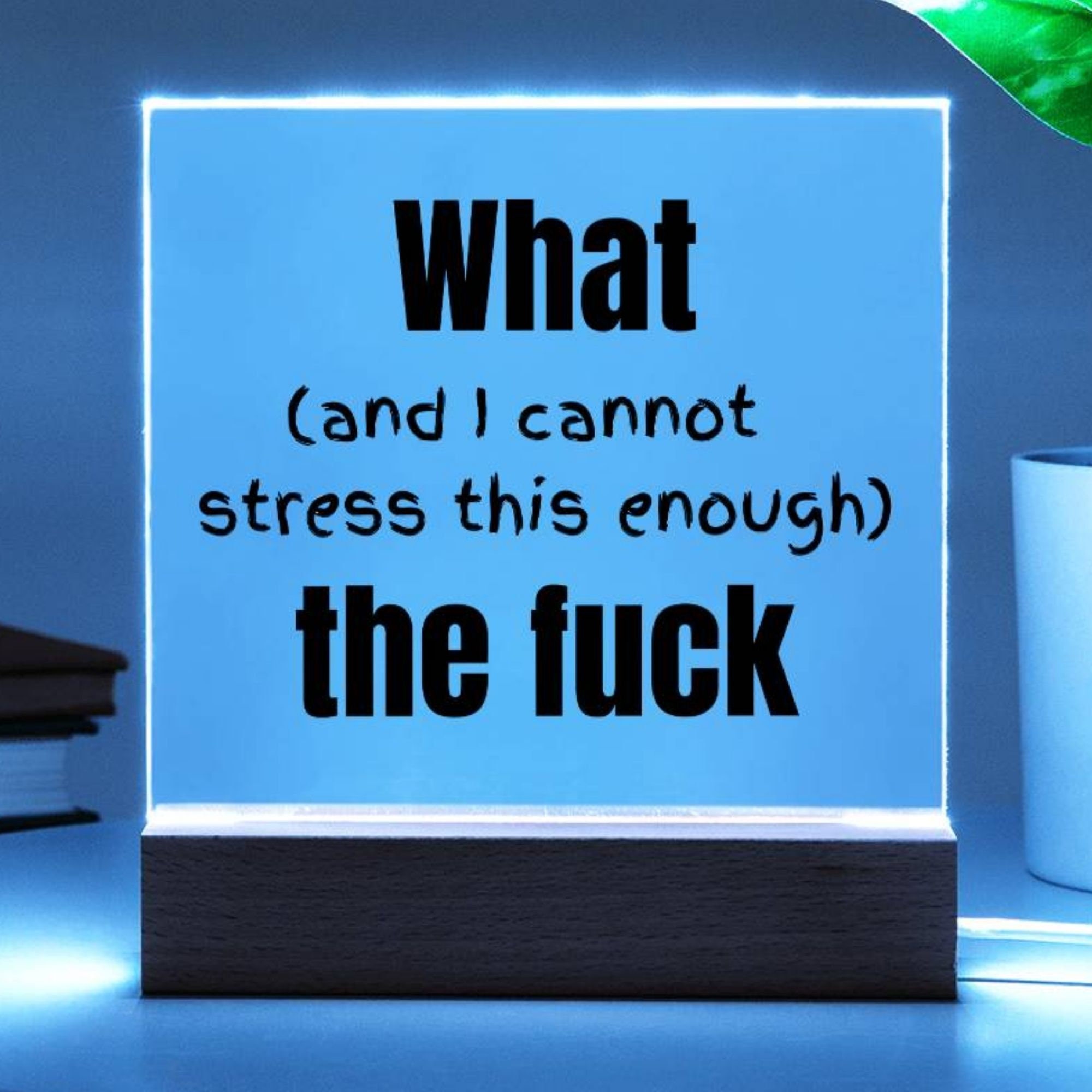 Desk Decor for Men Funny, Funny Desk Plaque, Desk Plaque Funny, Desk ...