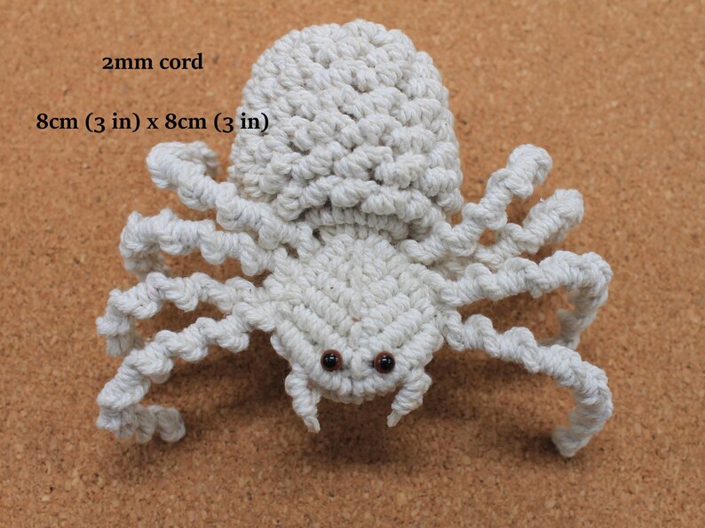 Macrame Spider Pattern: DIY Autumn Decor (PDF Pattern) - Etsy