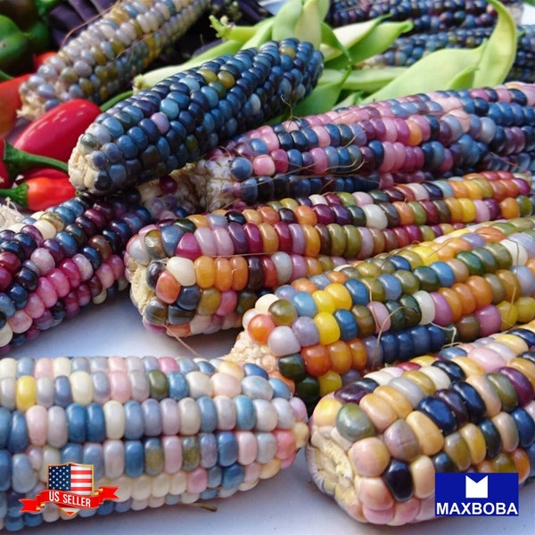 Glass Gem Corn - Etsy