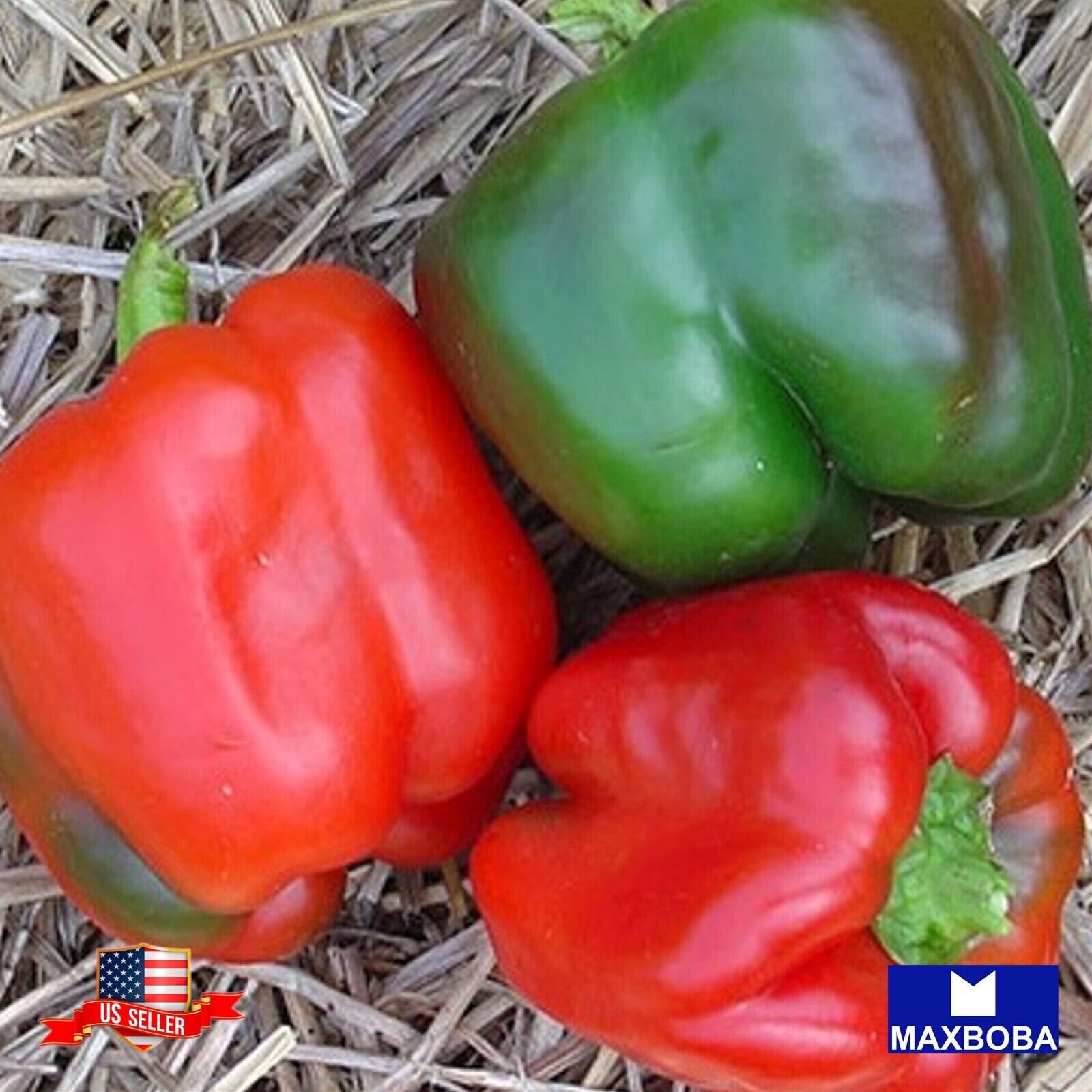 Sweet Emerald Giant Pepper Seeds Vegetable Heirloom Non-gmo - Etsy