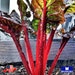 Swiss Chard 120 Fresh Seeds Ruby Red Non-gmo Heirloom - Etsy