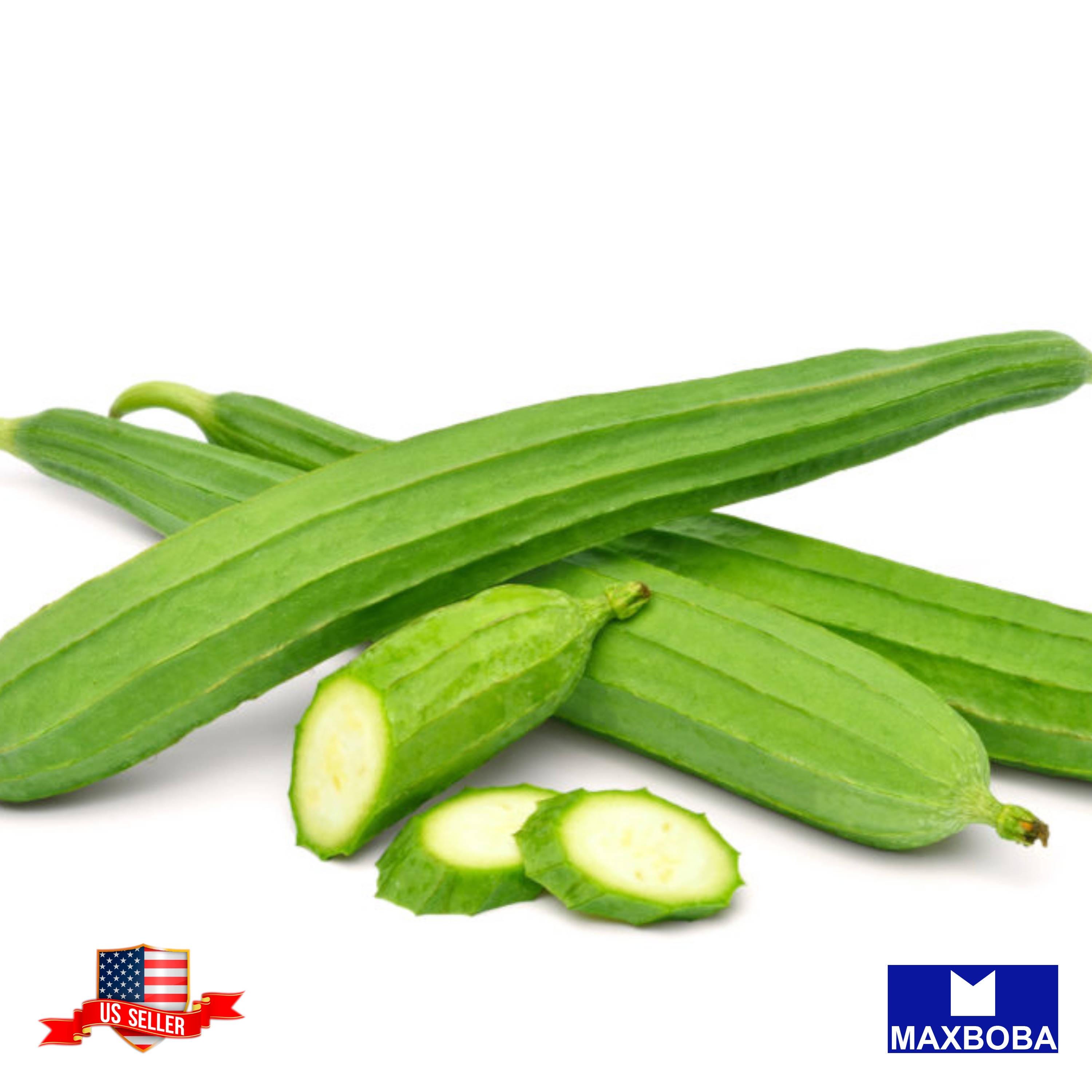 Chinese Okra treated Gourd Fresh Seeds Non-gmo Heirloom Vegetable - Etsy