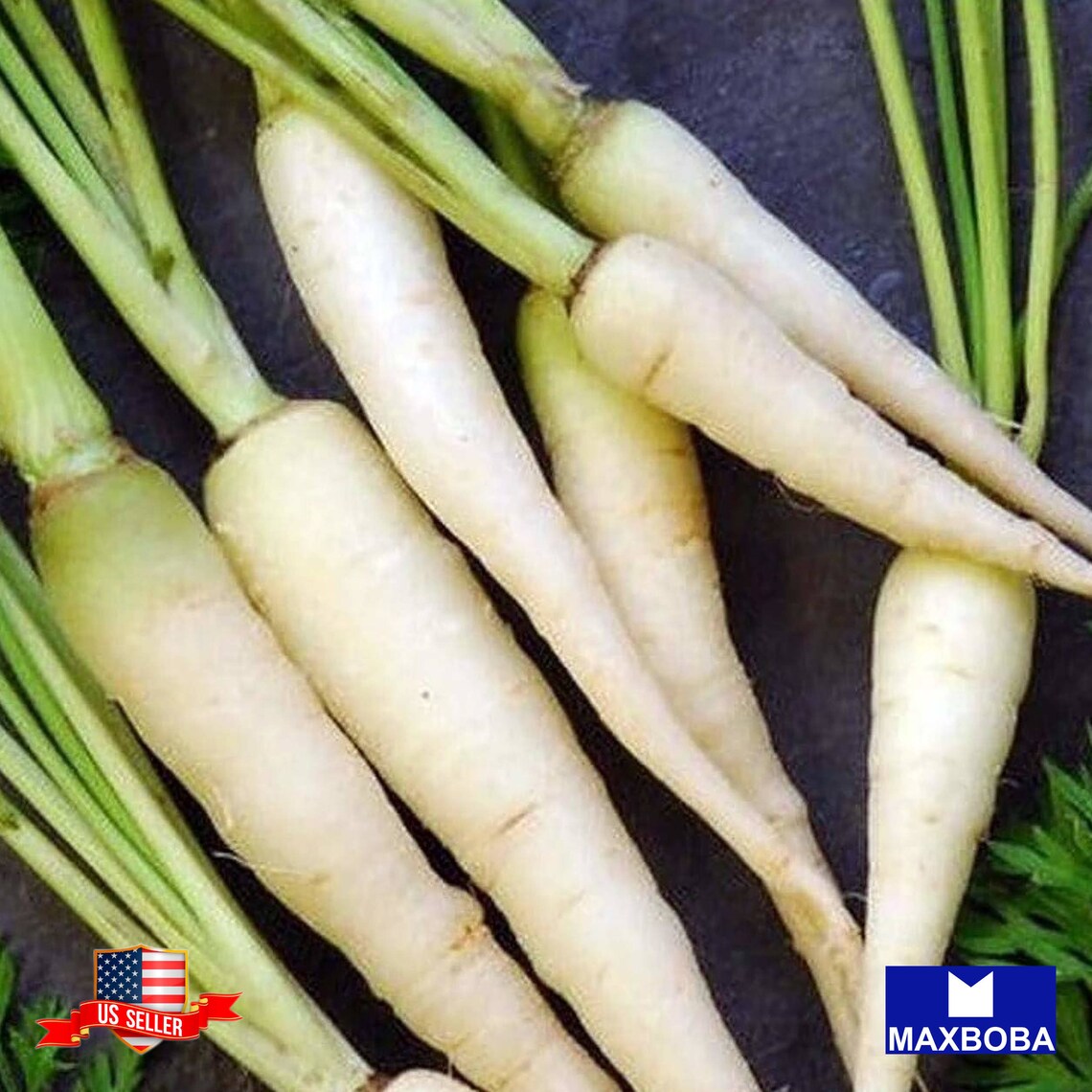 Lunar White Carrot 750 Fresh Seeds Non-gmo Heirloom Vegetable - Etsy