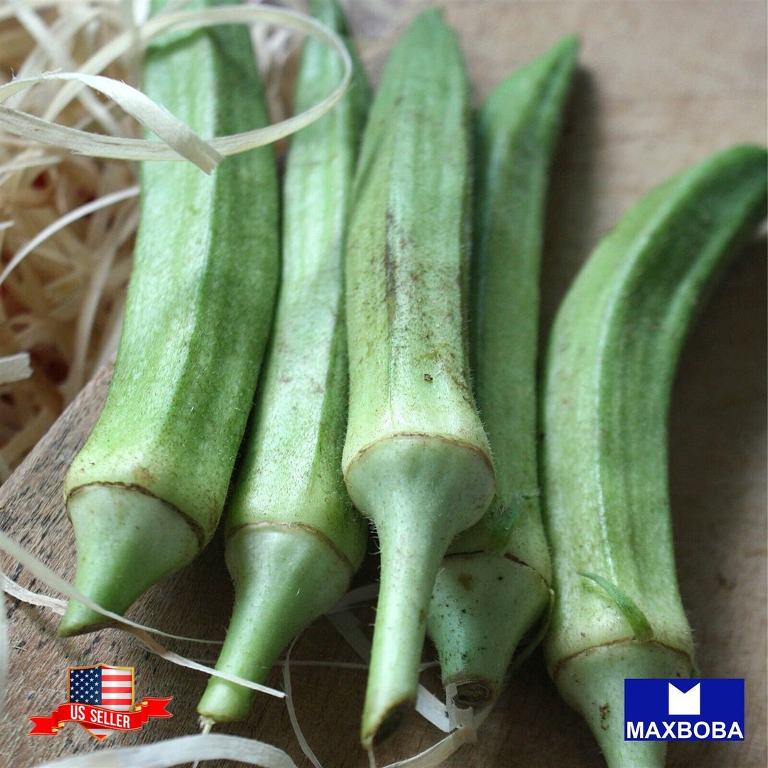 Okra Seeds Emerald Non-gmo / Heirloom / Garden Vegetable / Fresh - Etsy