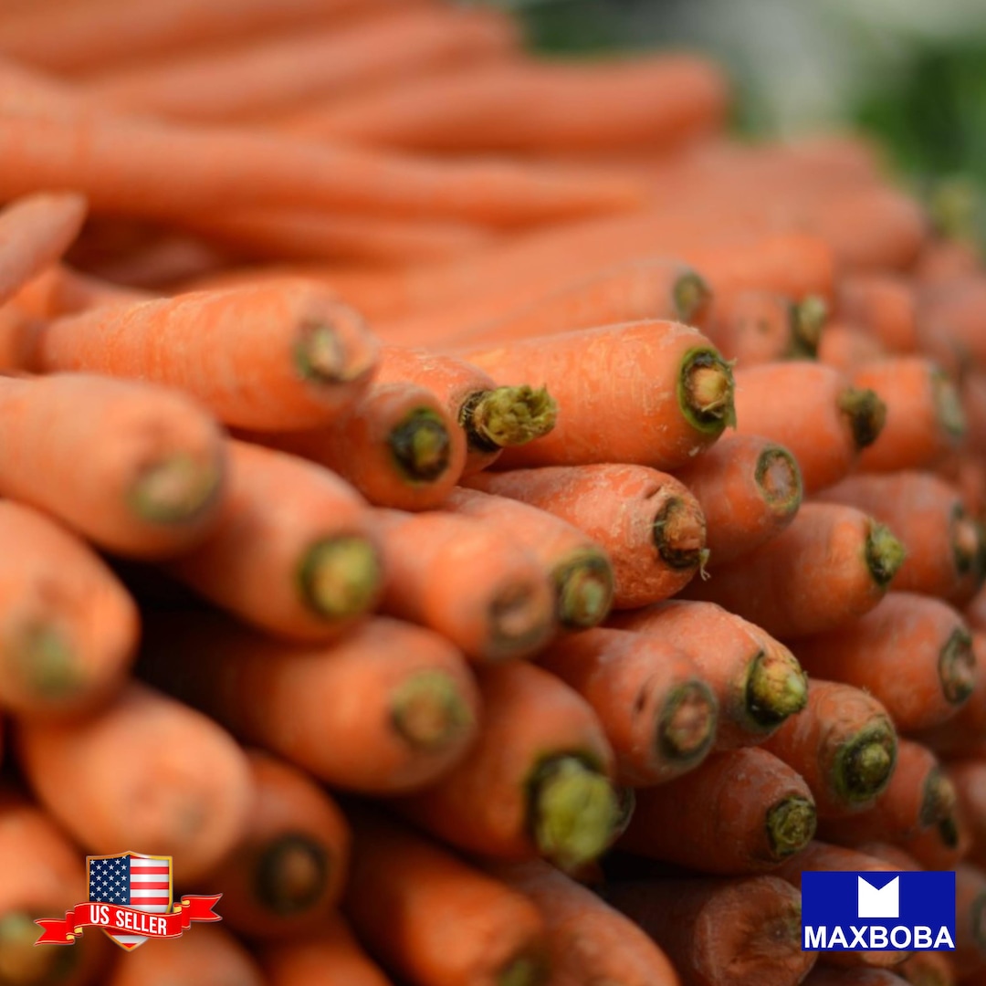Little Fingers Carrot Fresh Seeds Organic Non-gmo Heirloom Vegetable - Etsy