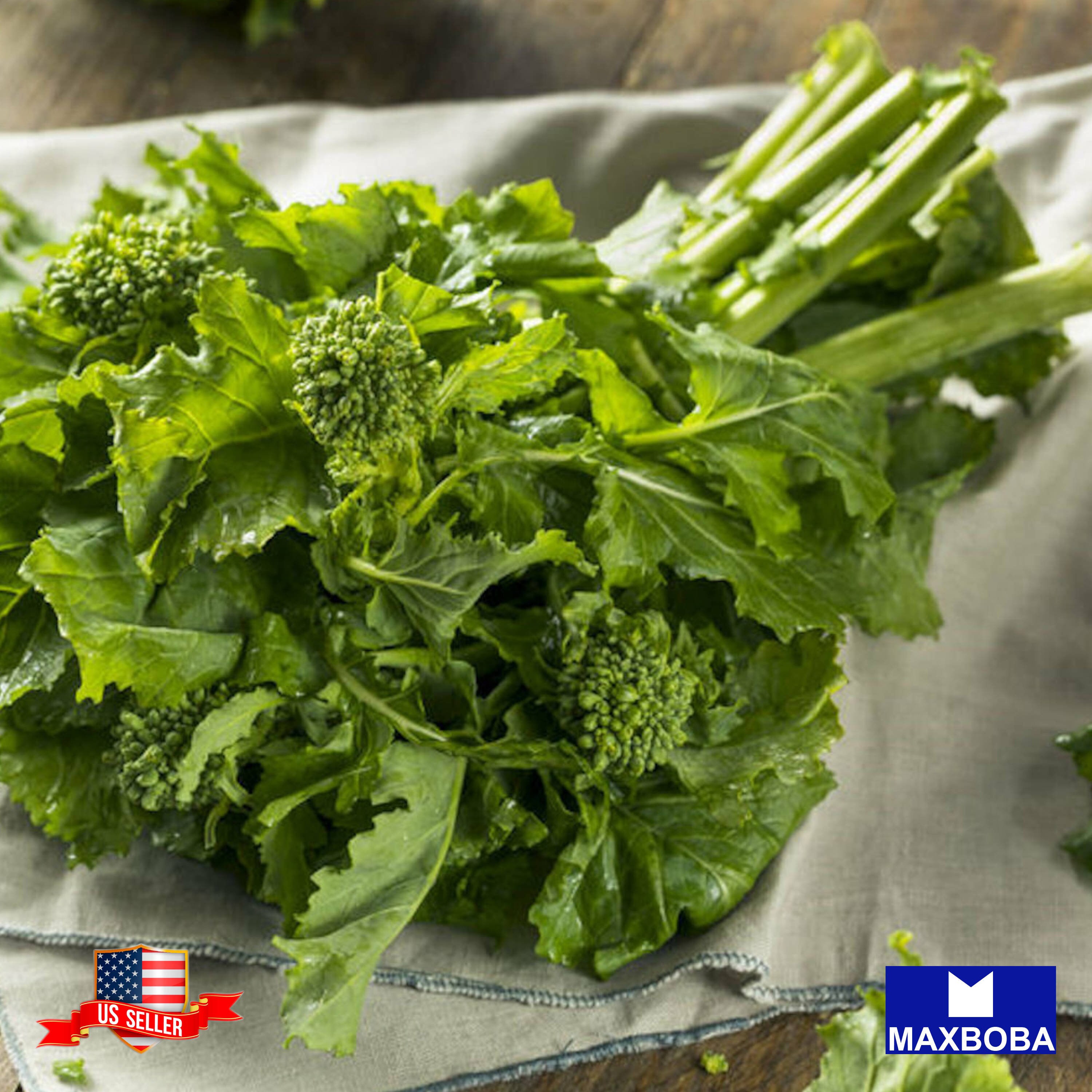 Broccoli Fresh Seeds Raab Spring Rapini organic Non-gmo Heirloom ...