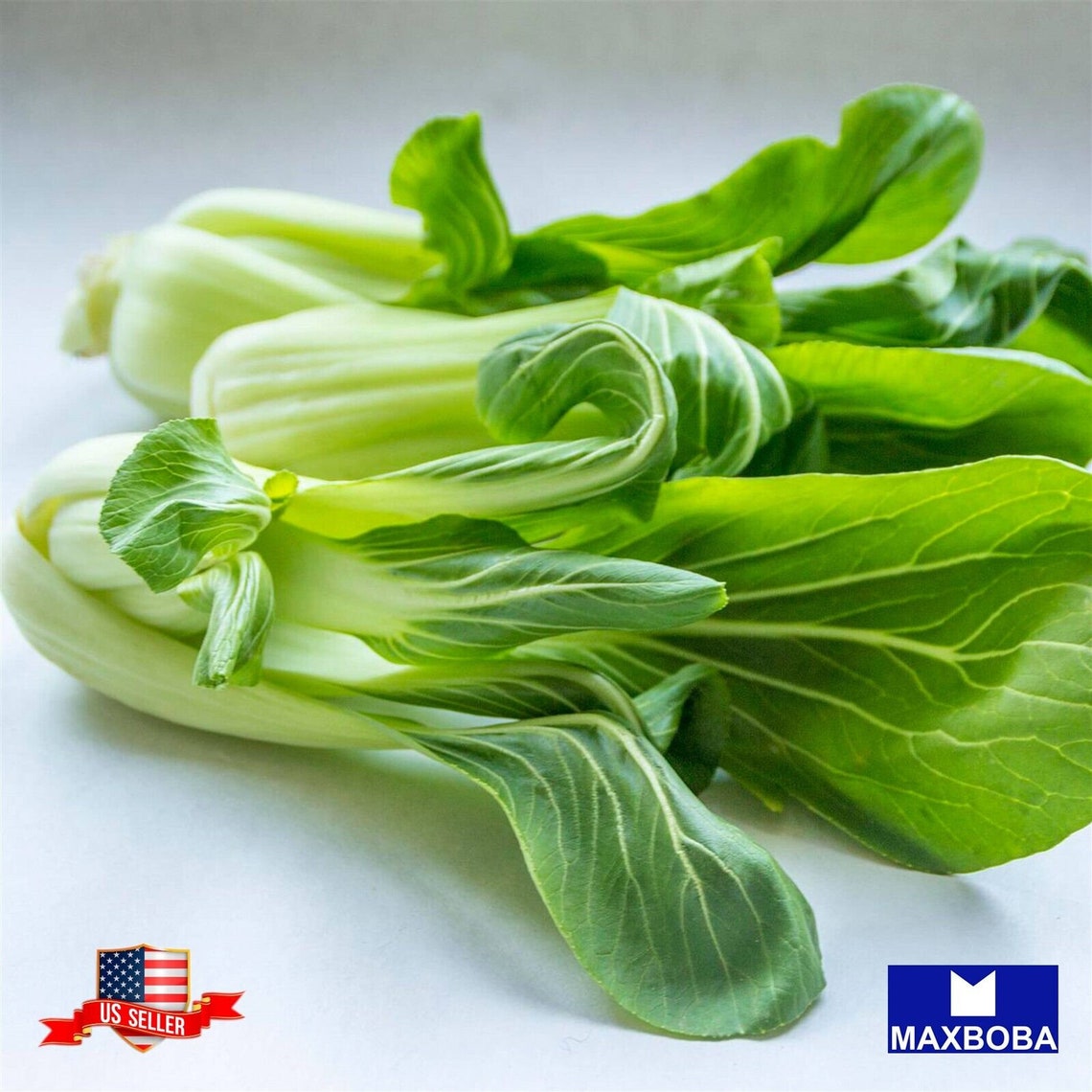 Cabbage Fresh Seeds Pak Choi White Stem Bok Choy Non-gmo Heirloom ...