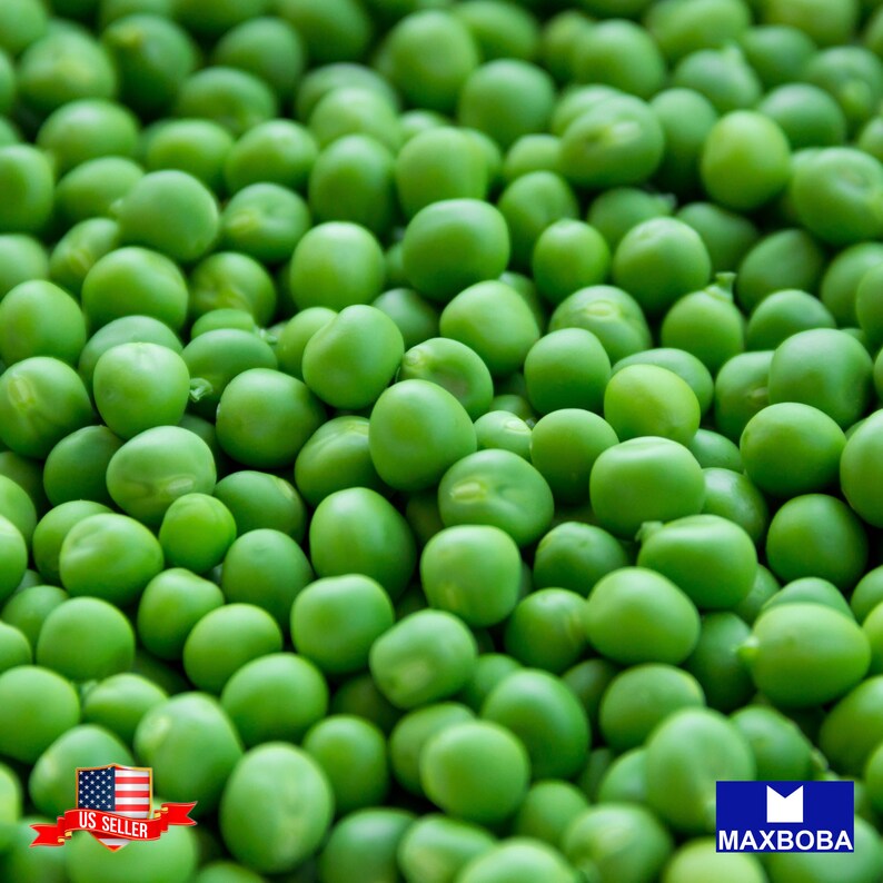 Bush Provider bean Fresh Seeds Organic Non-gmo Heirloom Garden - Etsy