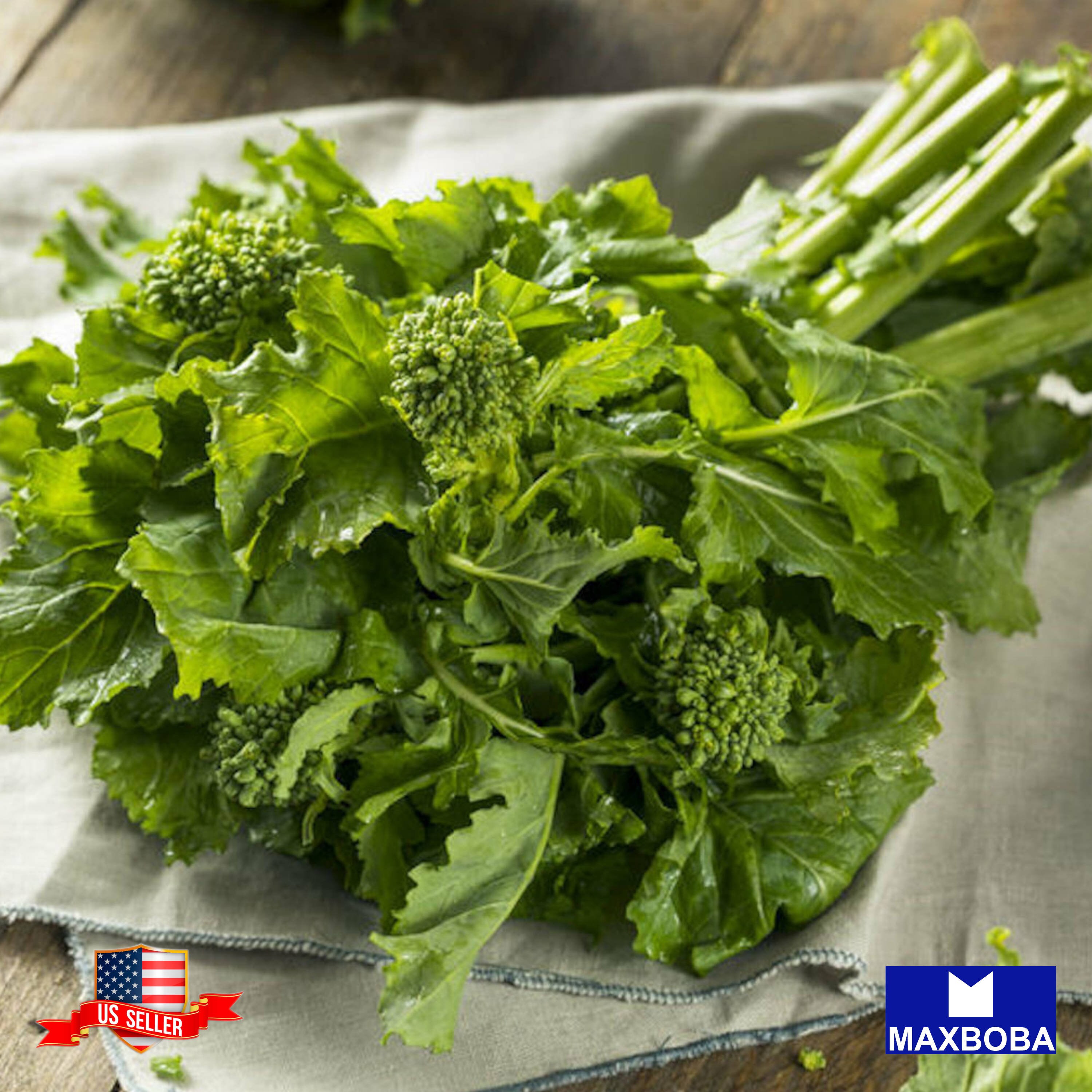 Broccoli Raab Seeds Spring Rapini Non-gmo Heirloom Garden - Etsy