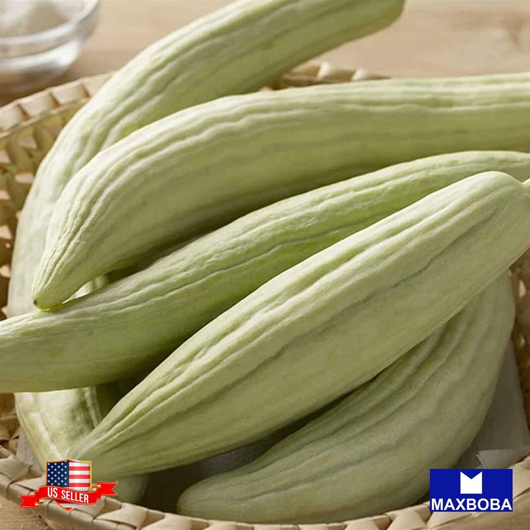 Cucumber Armenian the Duke 100 Fresh Seeds Non-gmo Heirloom Vegetable ...