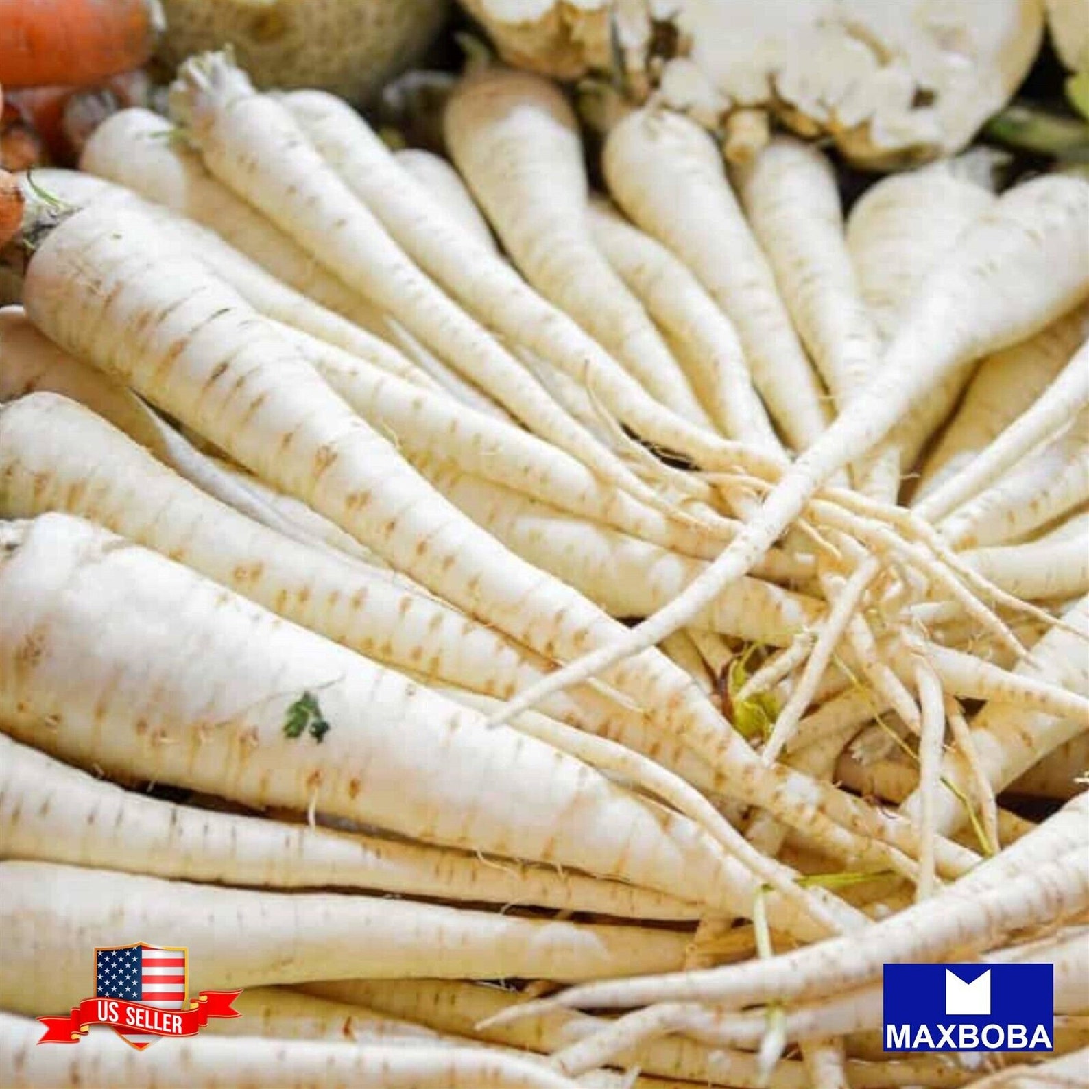 Lunar White Carrot 750 Fresh Seeds Non-gmo Heirloom Vegetable - Etsy