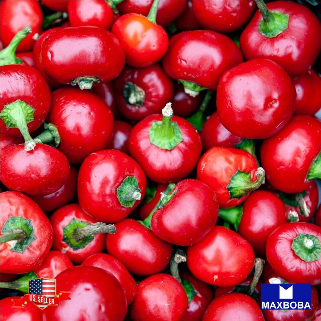 Large Red Cherry Hot Pepper 10 Fresh Seeds Non-gmo Heirloom - Etsy