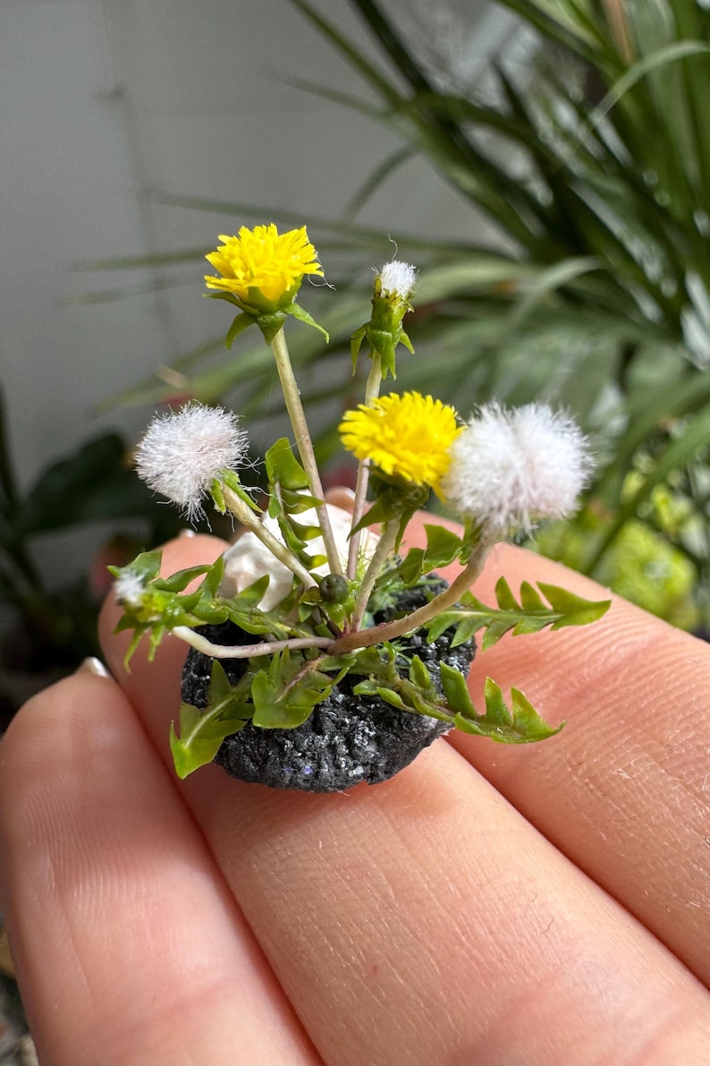 Dollhouse Dandelions for Garden , Scale 1/12 - TO ORDER - Etsy