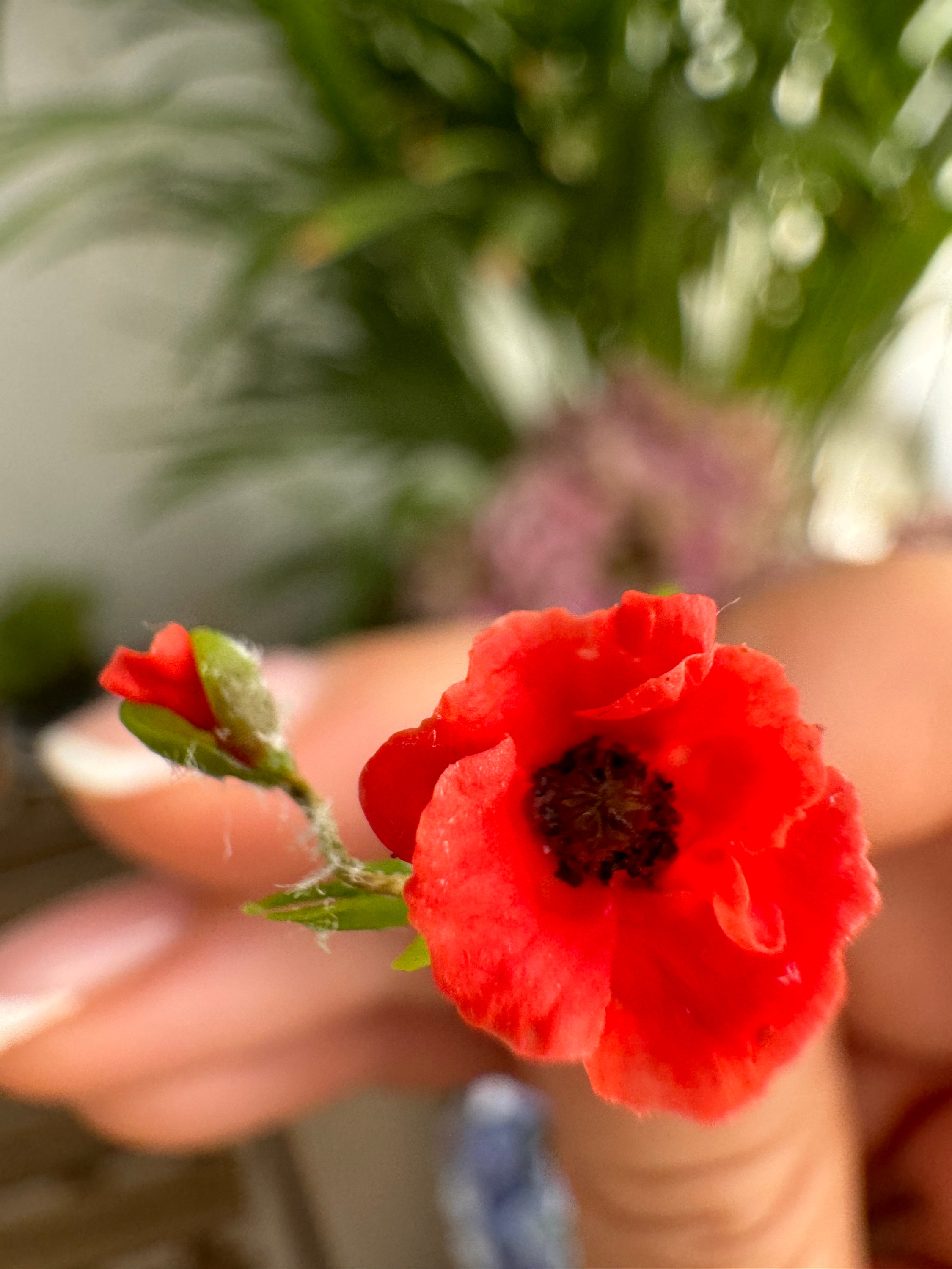 Dollhouse Poppy, Scale 1/12 - MADE TO ORDER - Etsy