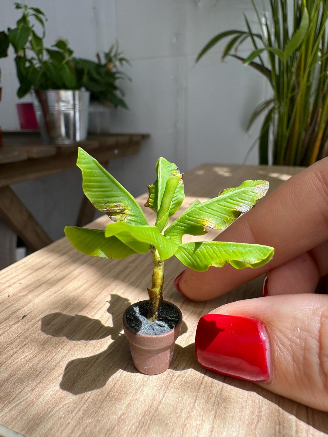 Banana Tree in Pot, Scale 1/24 - TO ORDER - Etsy