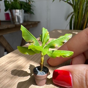 Banana Tree in Pot, Scale 1/24 - TO ORDER - Etsy